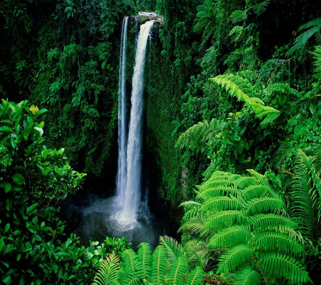 Jungle Waterfall Wallpapers - Top Free Jungle Waterfall Backgrounds ...