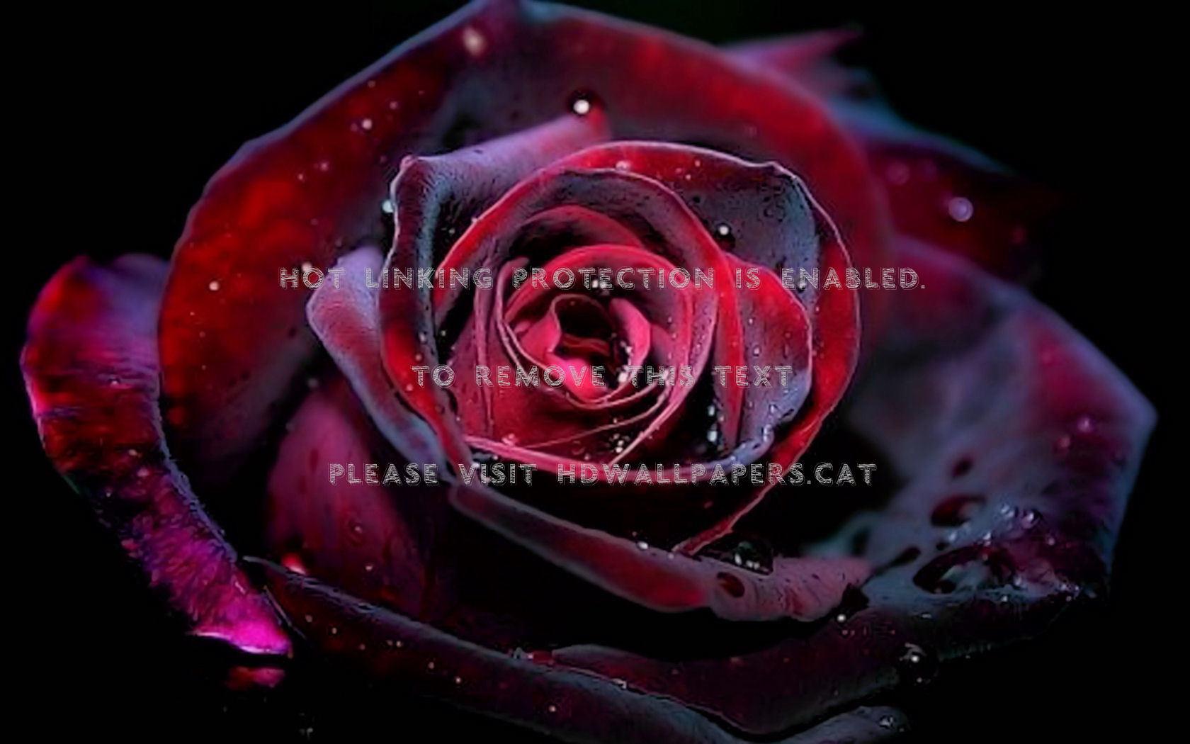 Gothic Romance Wallpapers - Top Free Gothic Romance Backgrounds ...