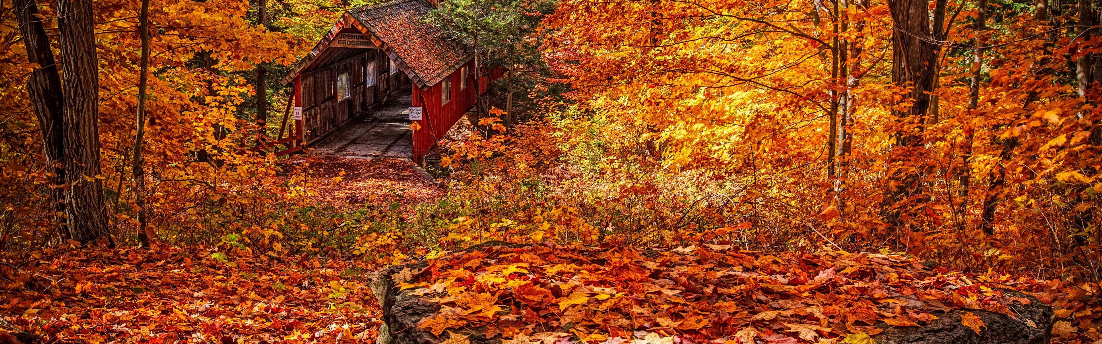 Fall Panoramic Wallpapers - Top Free Fall Panoramic Backgrounds ...