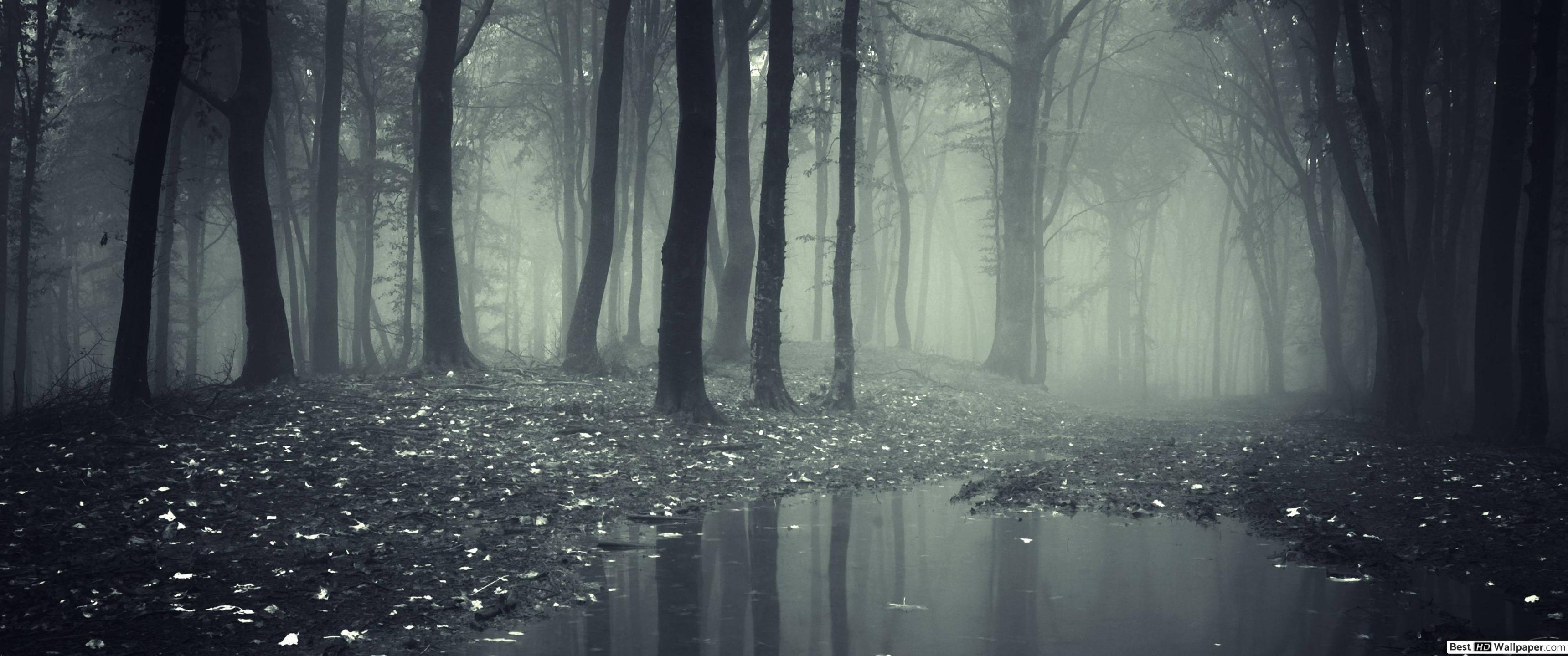 Black Fog Wallpapers - Top Free Black Fog Backgrounds - WallpaperAccess