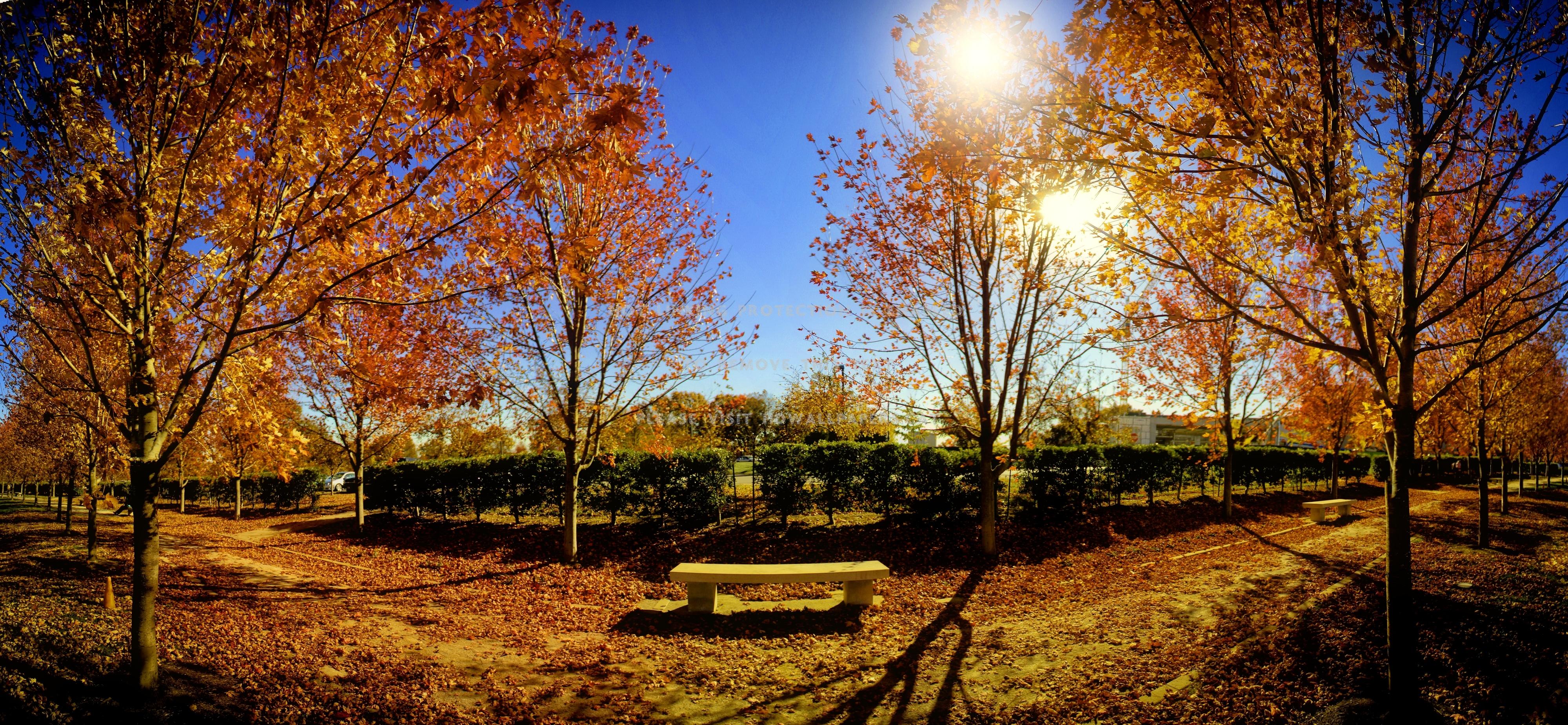 Autumn Panoramic Wallpapers - Top Free Autumn Panoramic Backgrounds ...