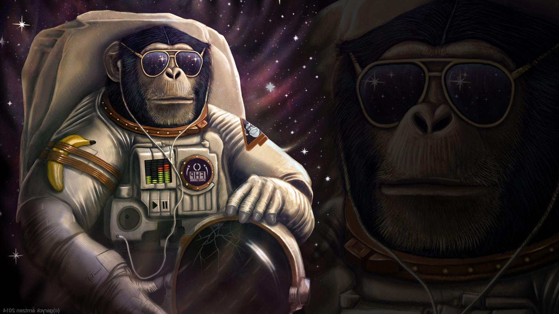 DJ Monkey Wallpapers - Top Free DJ Monkey Backgrounds - WallpaperAccess