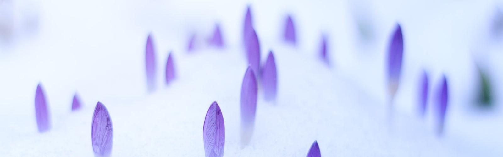 White Calm Wallpapers - Top Free White Calm Backgrounds - WallpaperAccess