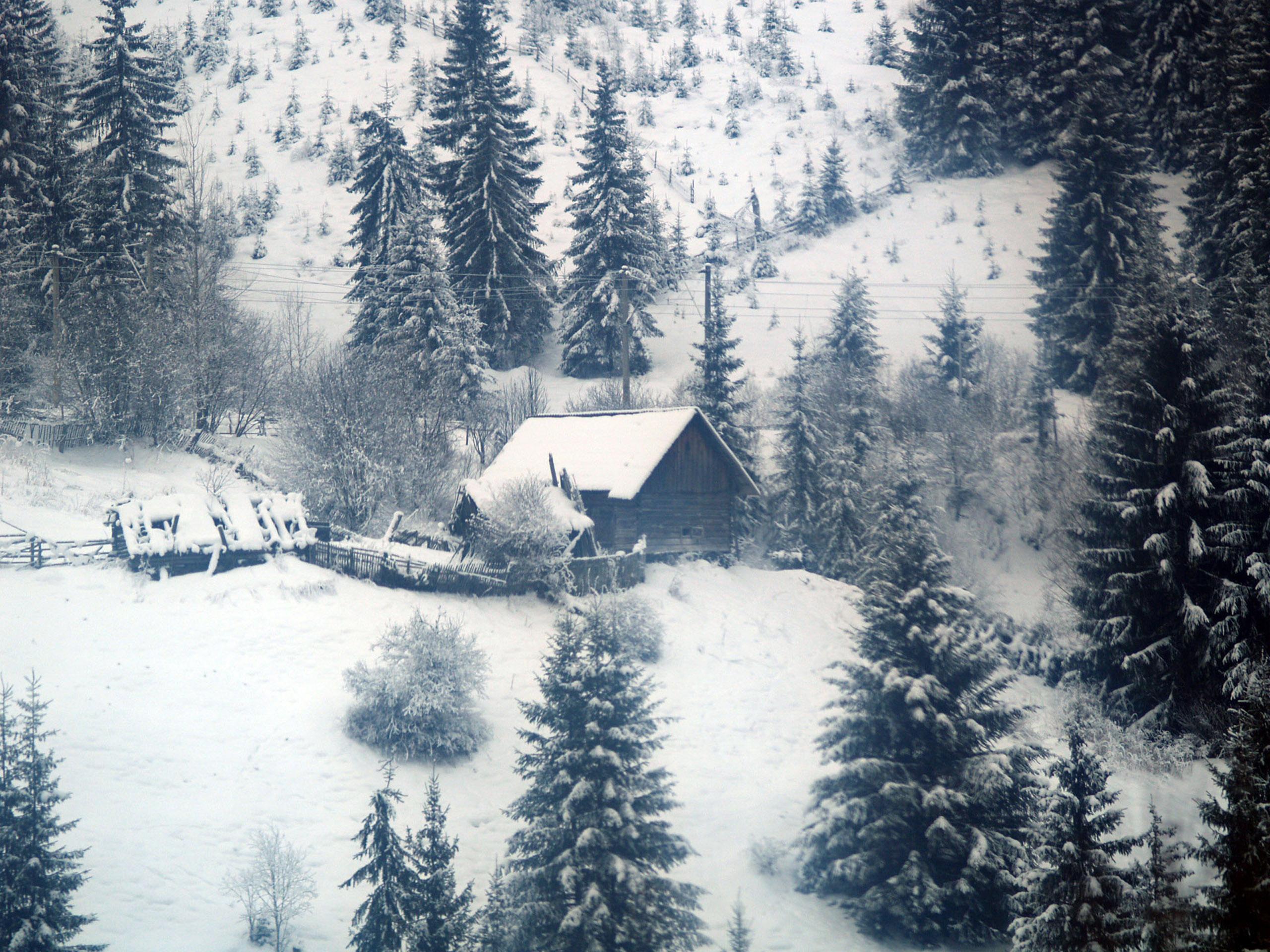 Cowboy Winter Wallpapers - Top Free Cowboy Winter Backgrounds ...