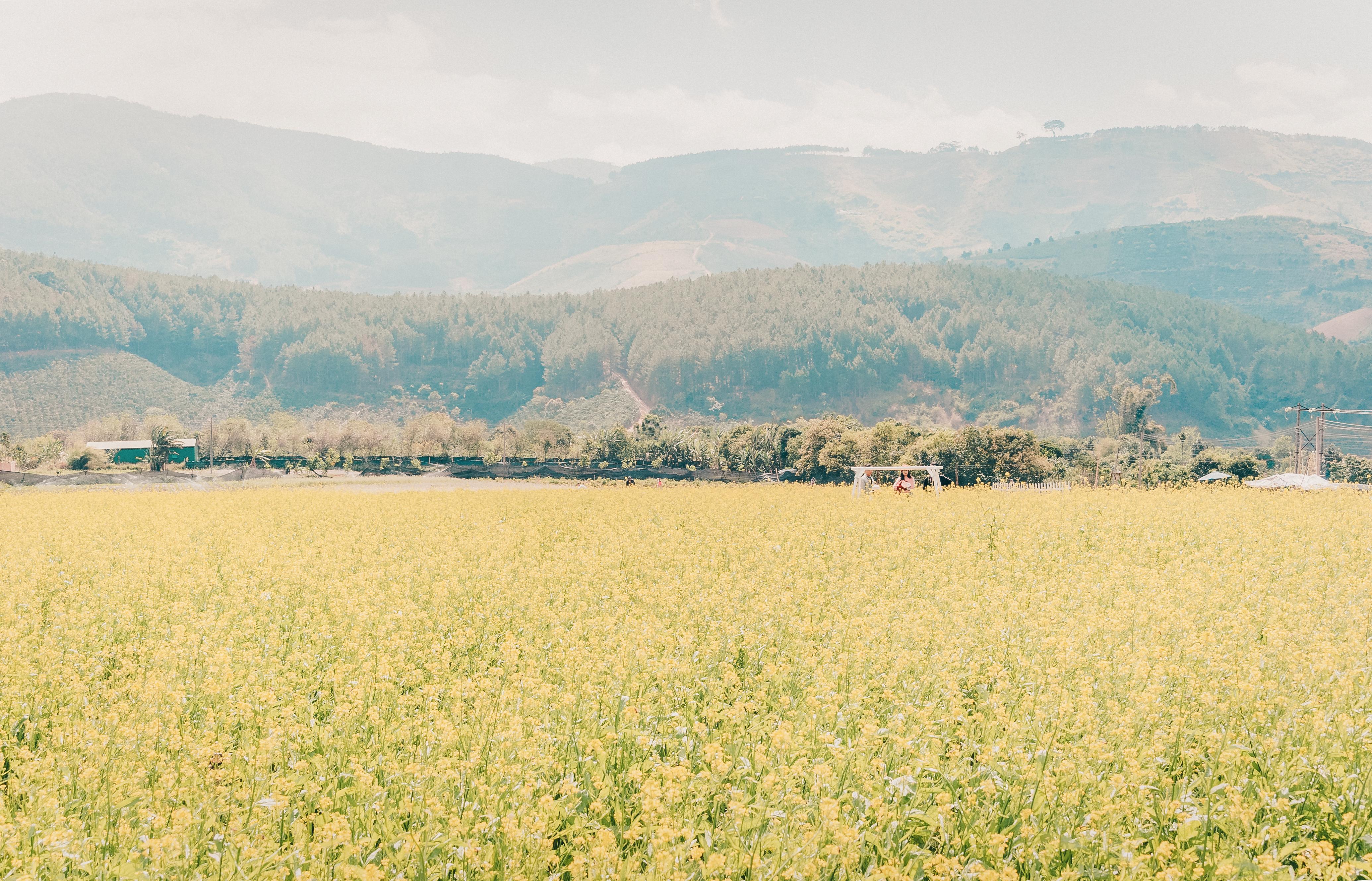 Pastel Landscape Art Wallpapers - Top Free Pastel Landscape Art ...