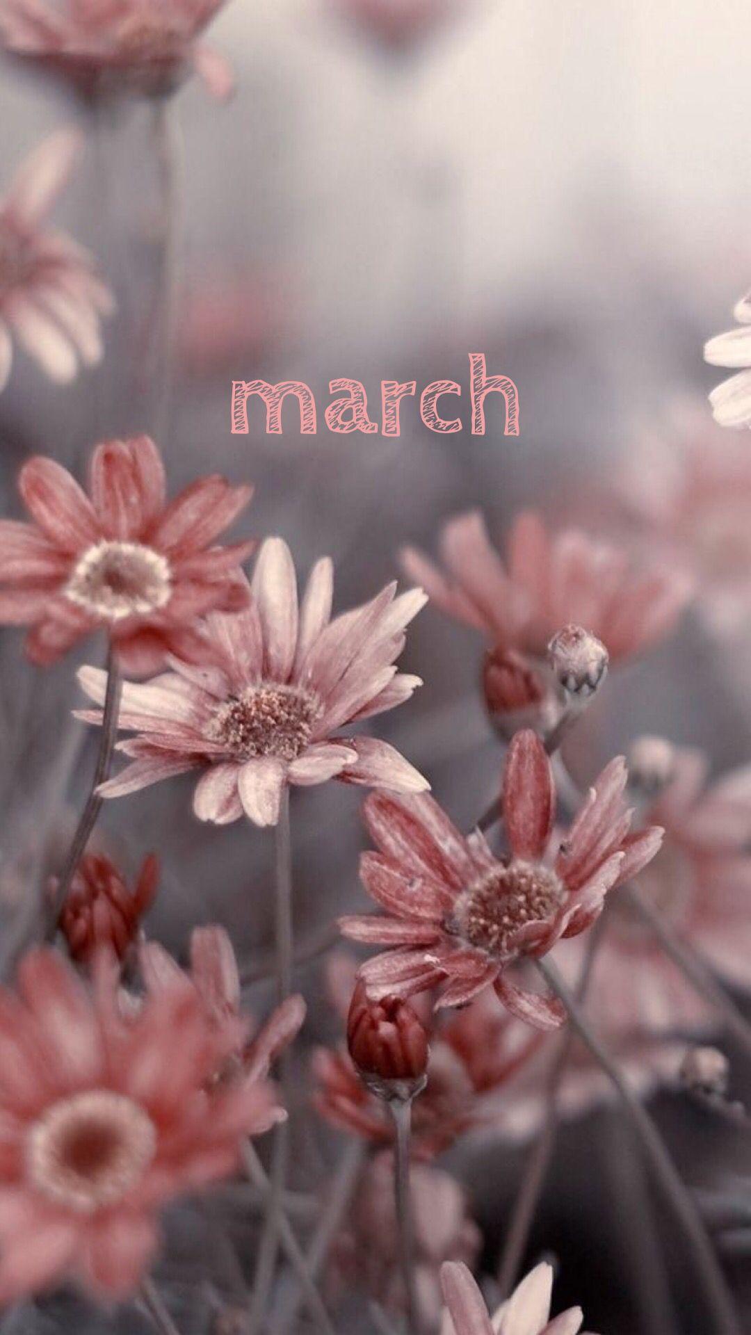 March Flowers Wallpapers - Top Free March Flowers Backgrounds ...