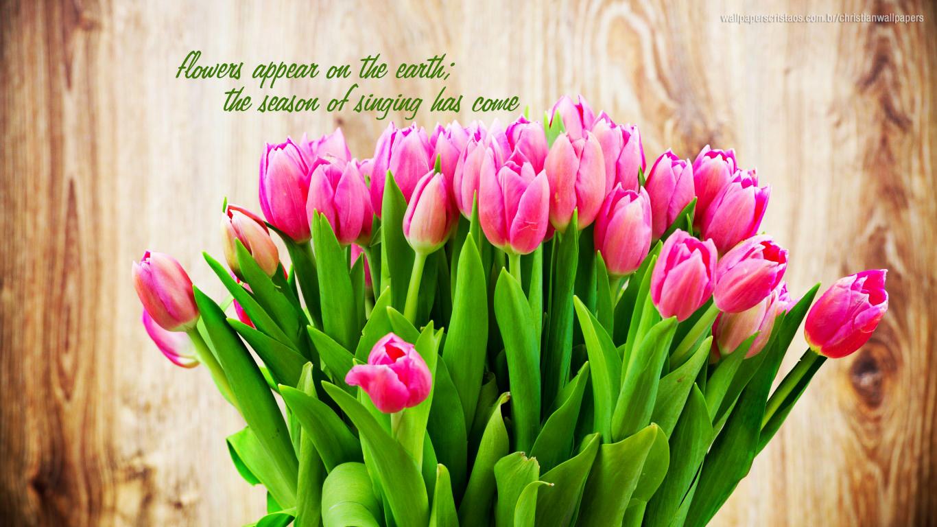 March Flowers Wallpapers - Top Free March Flowers Backgrounds ...