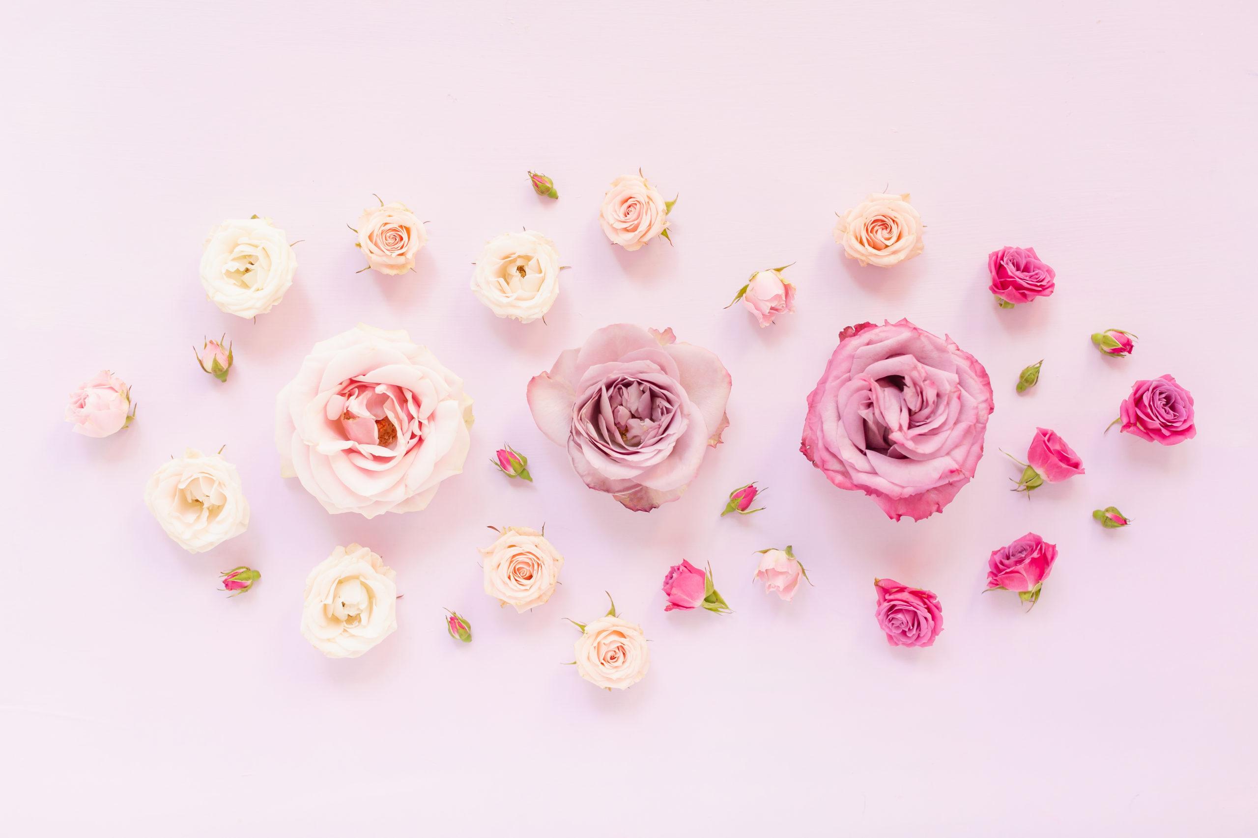 Pastel Flowers Desktop Wallpapers - Top Free Pastel Flowers Desktop ...
