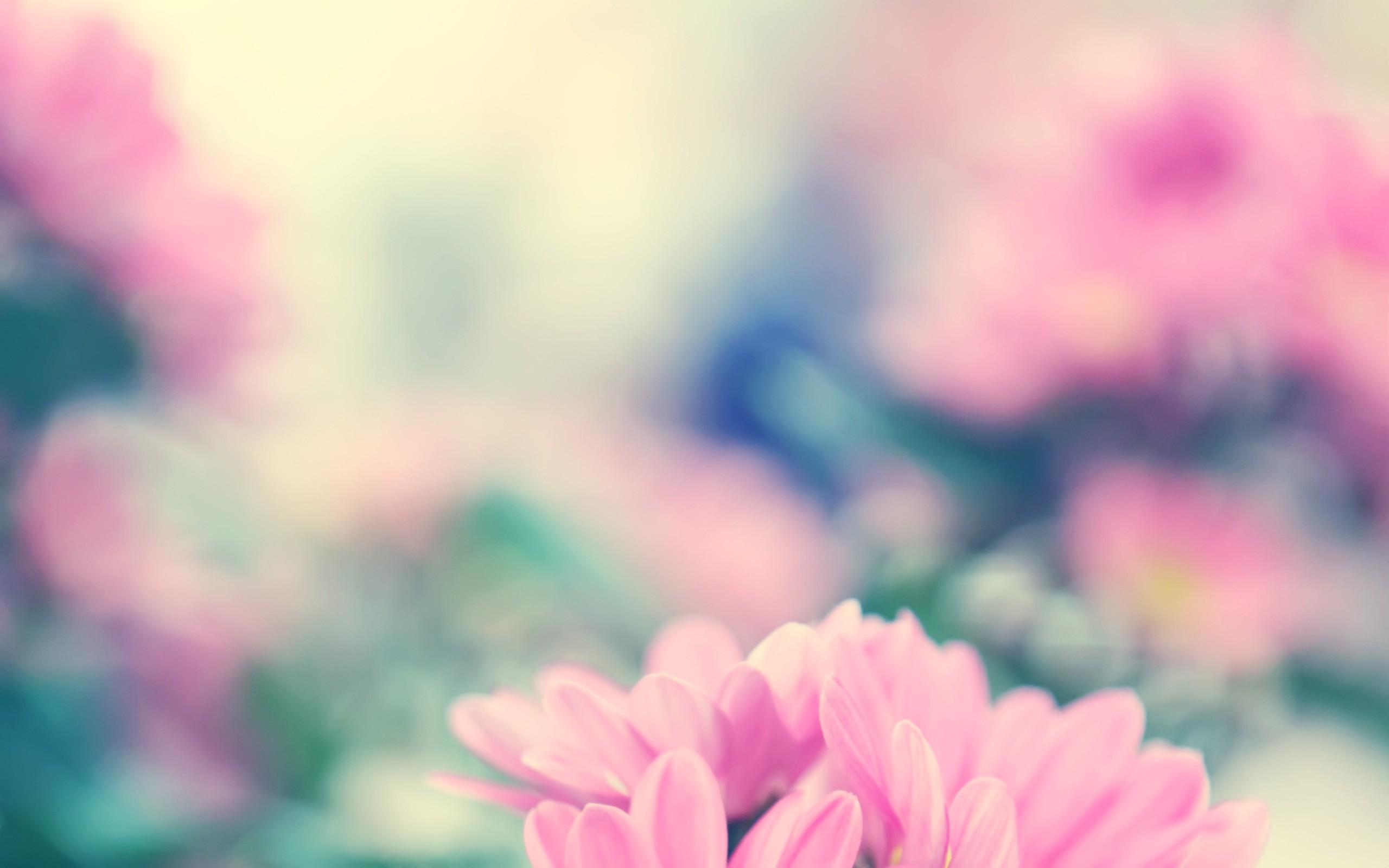 March Flowers Wallpapers - Top Free March Flowers Backgrounds ...