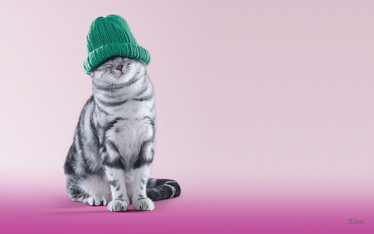 Funny Winter Desktop Wallpapers - Top Free Funny Winter Desktop ...