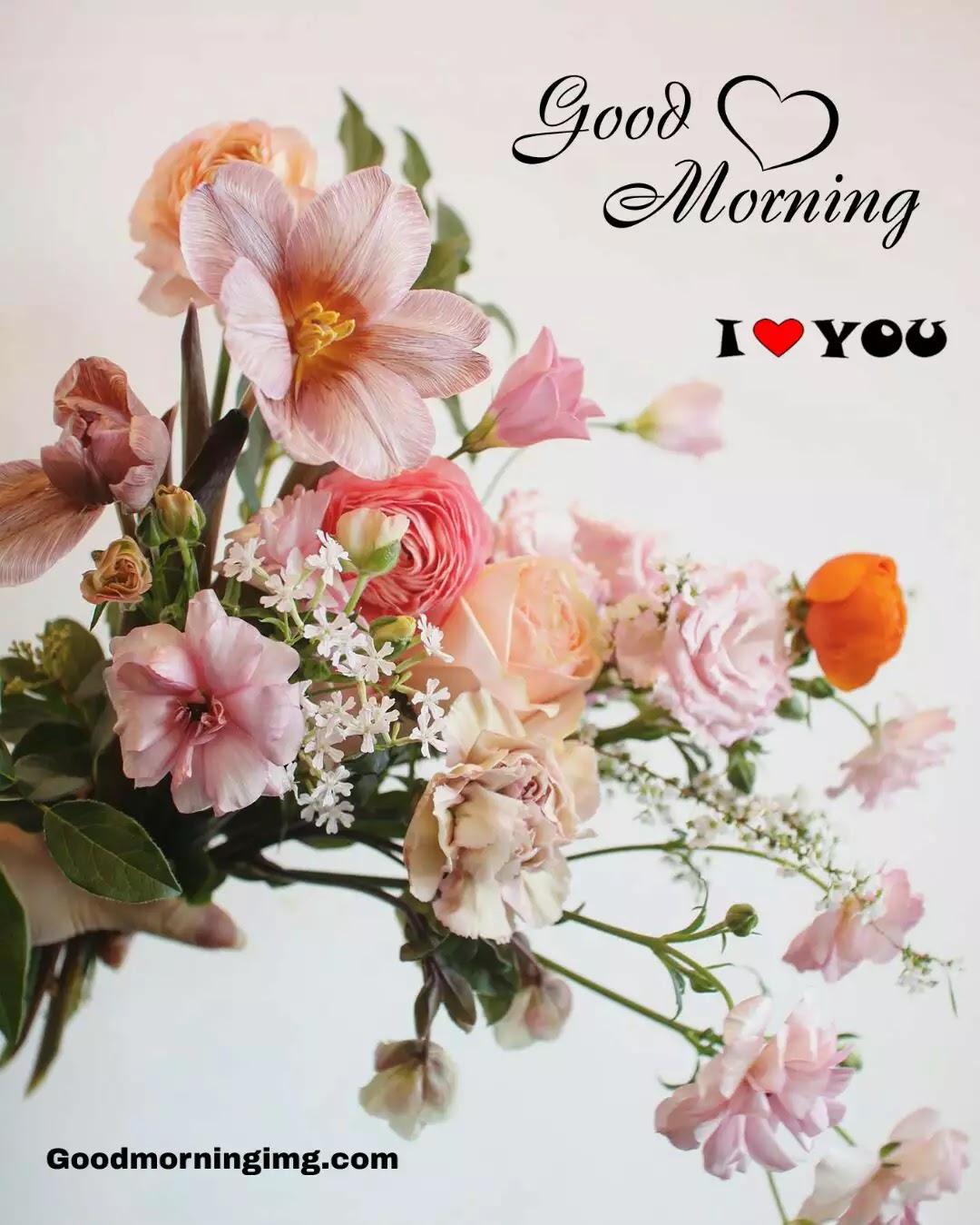 Morning Flowers Wallpapers - Top Free Morning Flowers Backgrounds ...