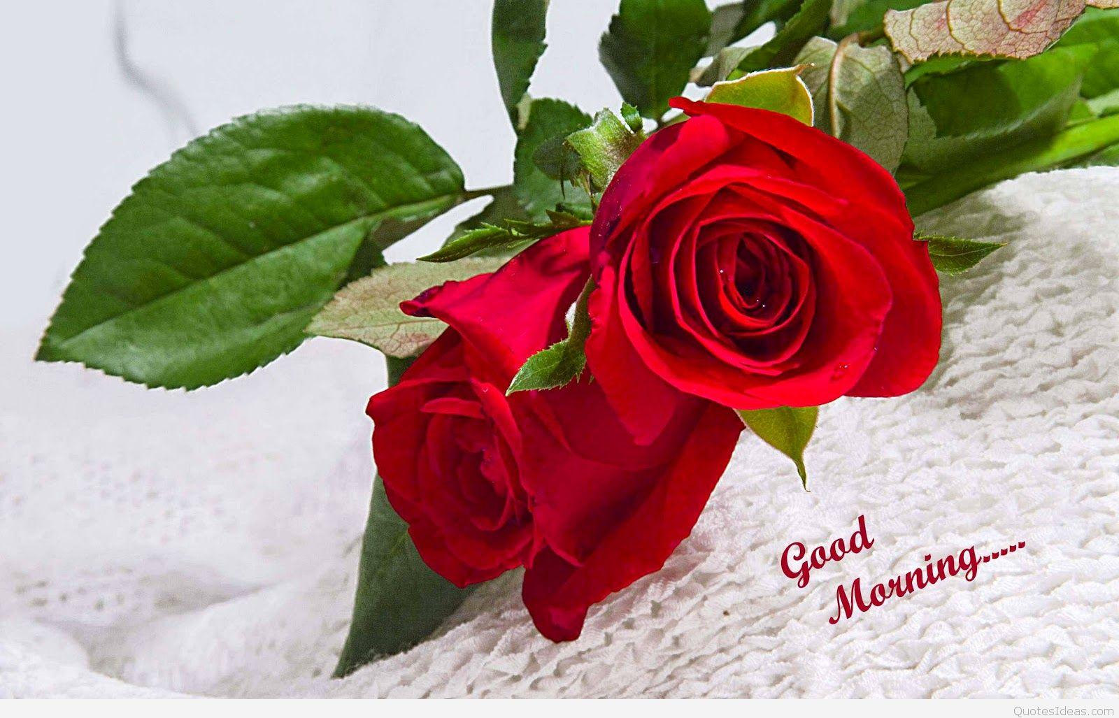 Morning Flowers Wallpapers - Top Free Morning Flowers Backgrounds ...