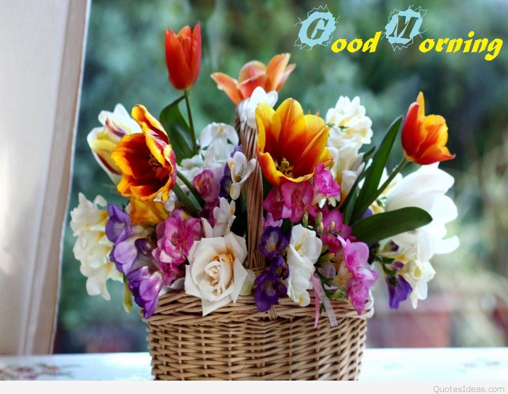 Morning Flowers Wallpapers - Top Free Morning Flowers Backgrounds ...