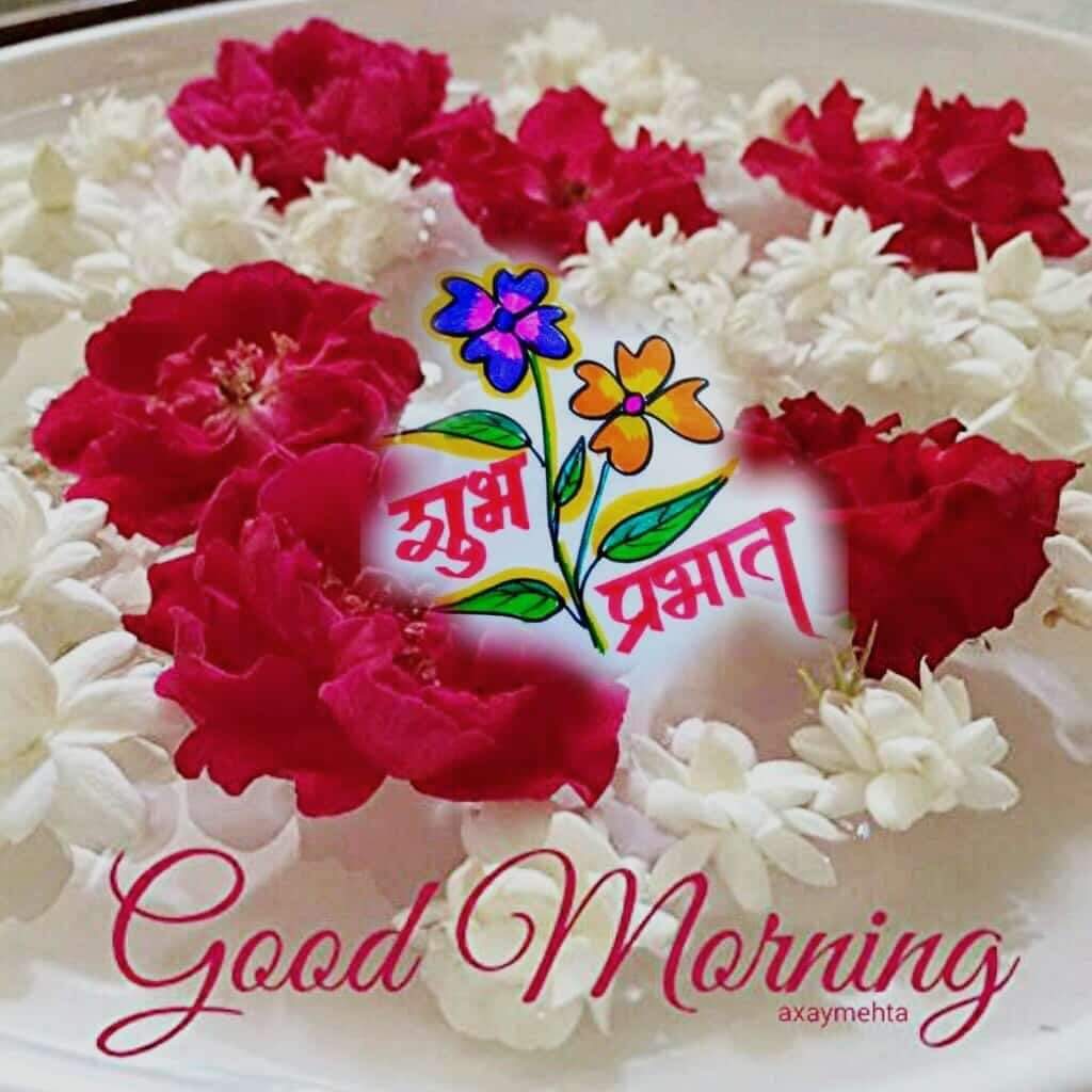 Morning Flowers Wallpapers - Top Free Morning Flowers Backgrounds ...