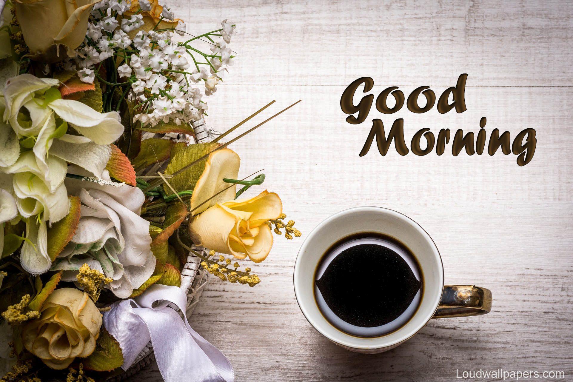 Morning Flowers Wallpapers - Top Free Morning Flowers Backgrounds ...