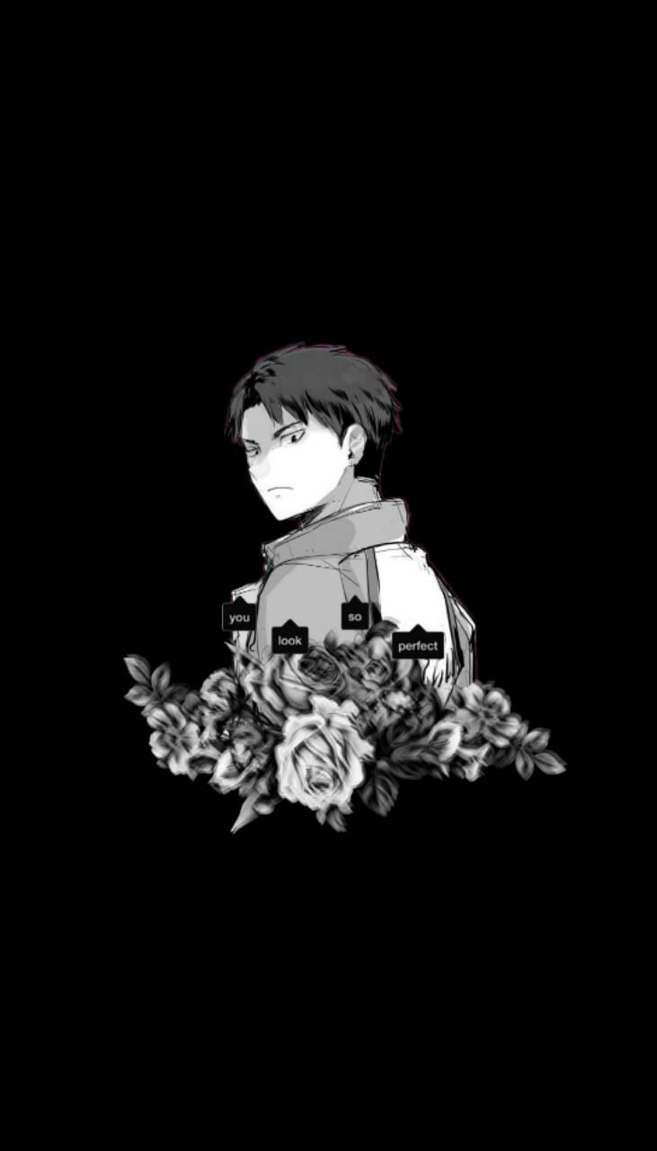 Ushiwaka Wallpapers - Top Free Ushiwaka Backgrounds - WallpaperAccess