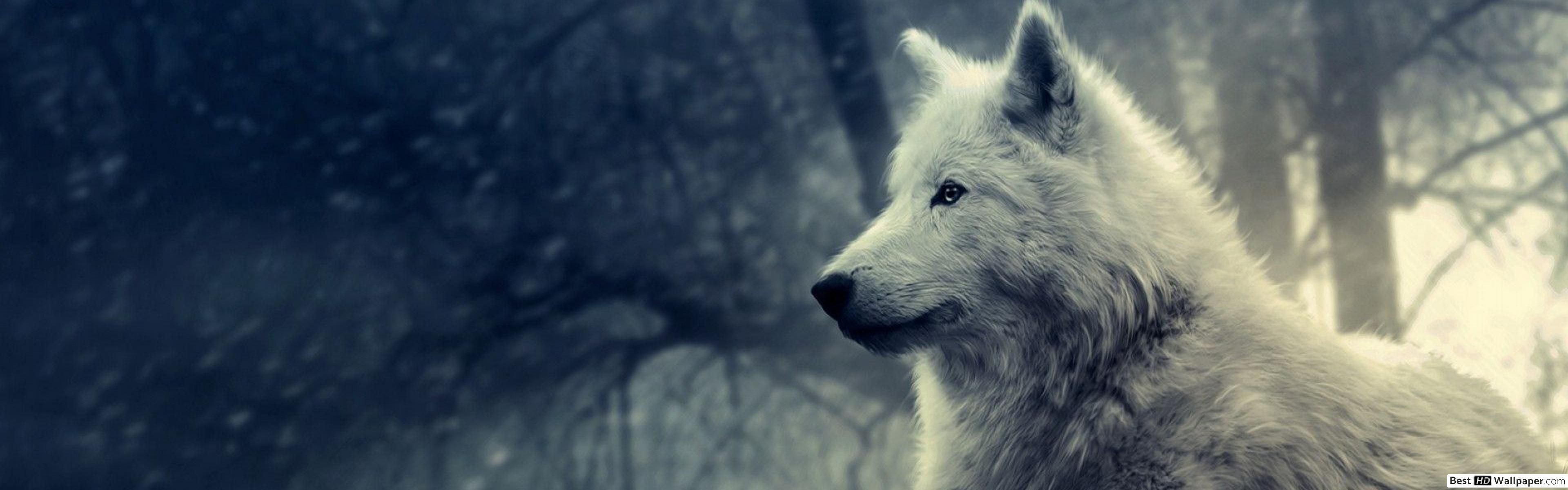 Dual Monitor Wolf Wallpapers - Top Free Dual Monitor Wolf Backgrounds ...