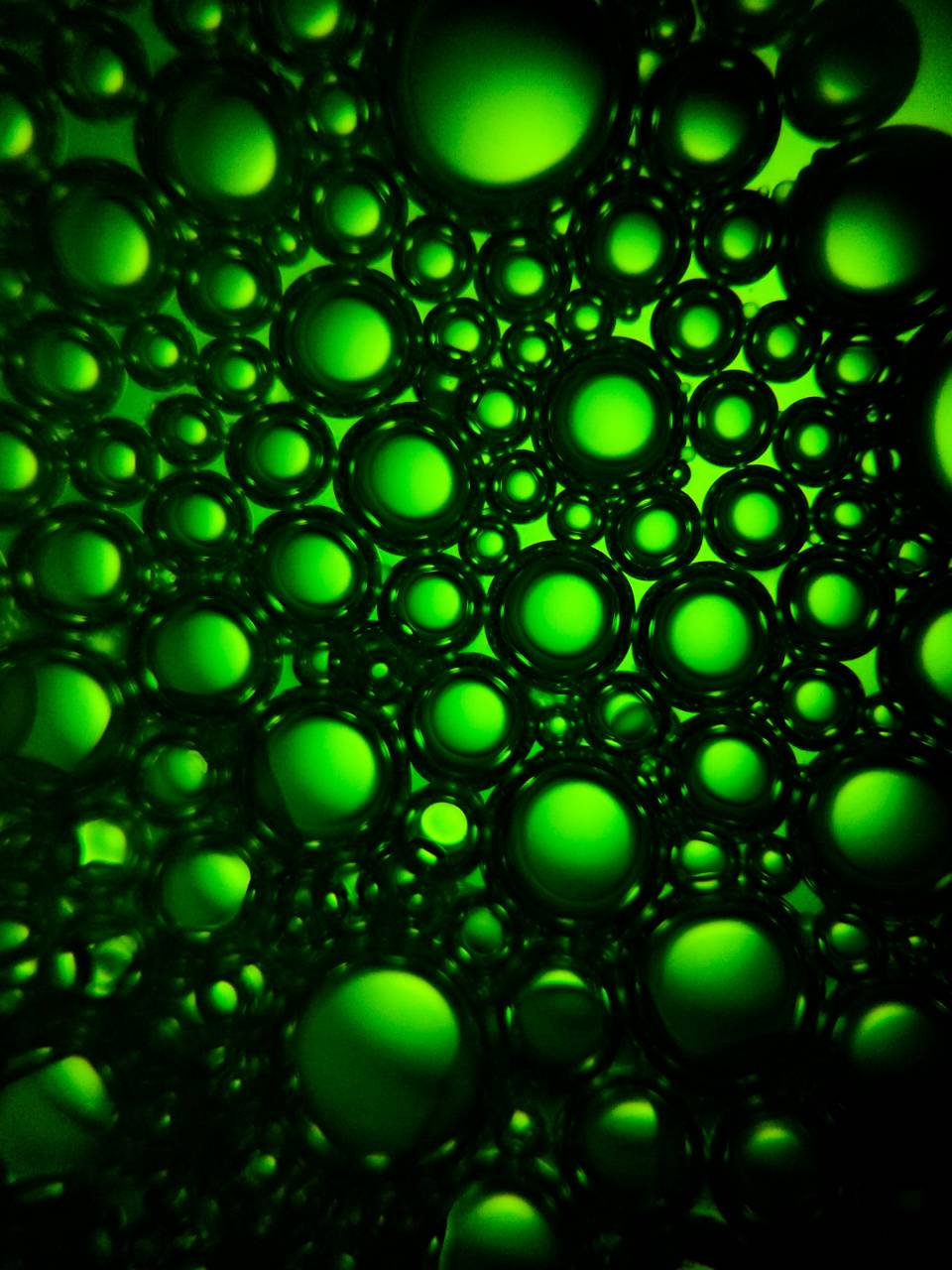 Green Bubbles Wallpapers - Top Free Green Bubbles Backgrounds ...