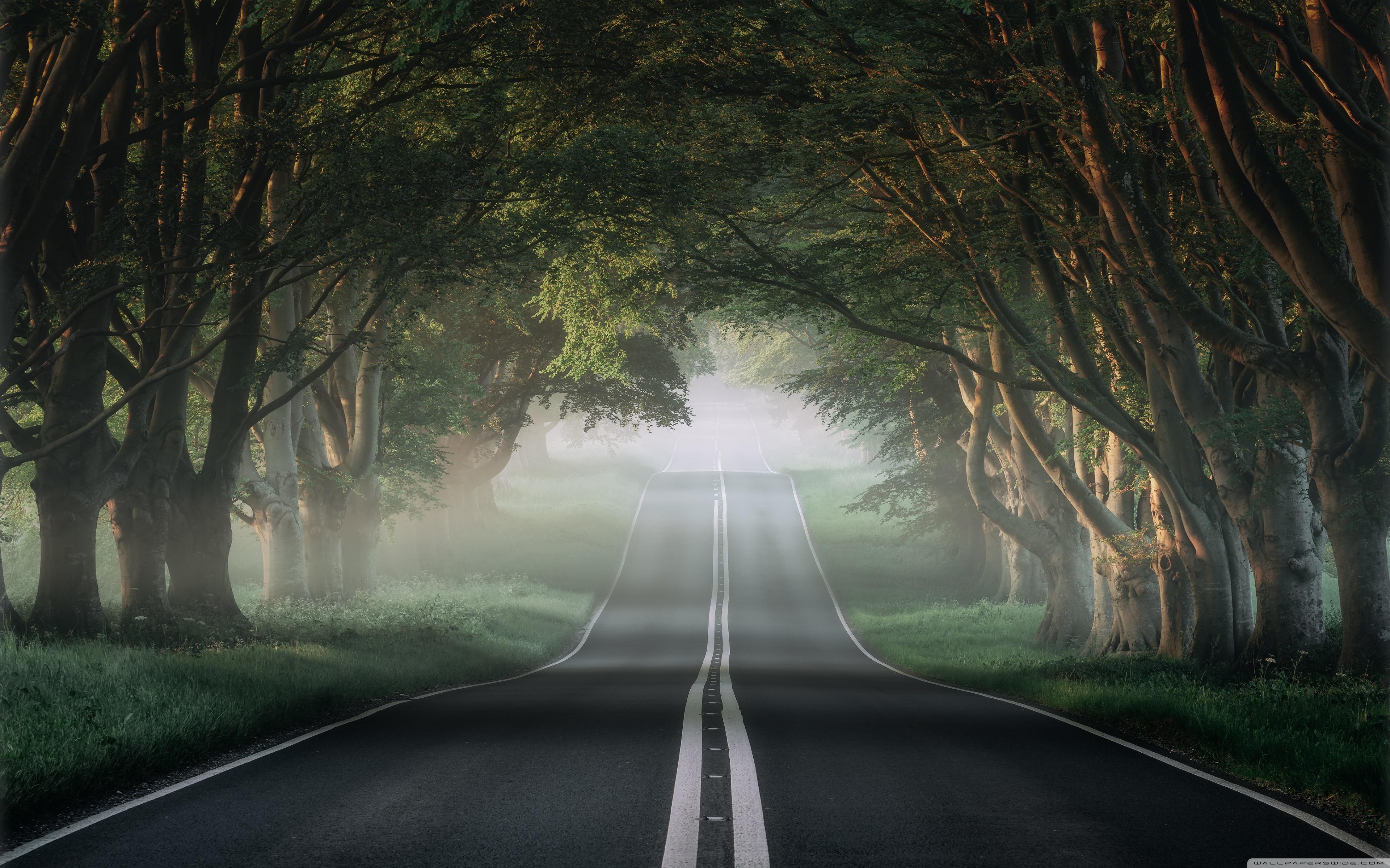 Beautiful Road Wallpapers - Top Free Beautiful Road Backgrounds ...