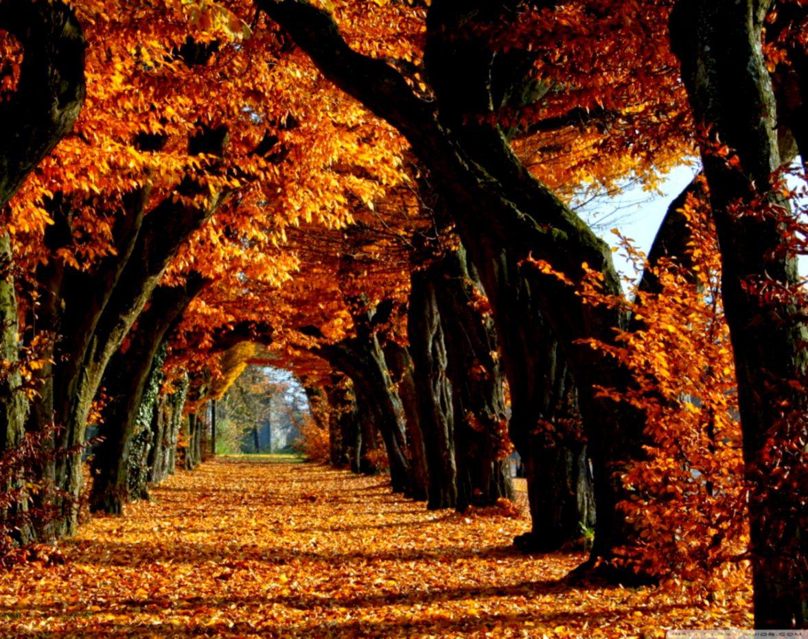 Beautiful Weather Wallpapers - Top Free Beautiful Weather Backgrounds ...