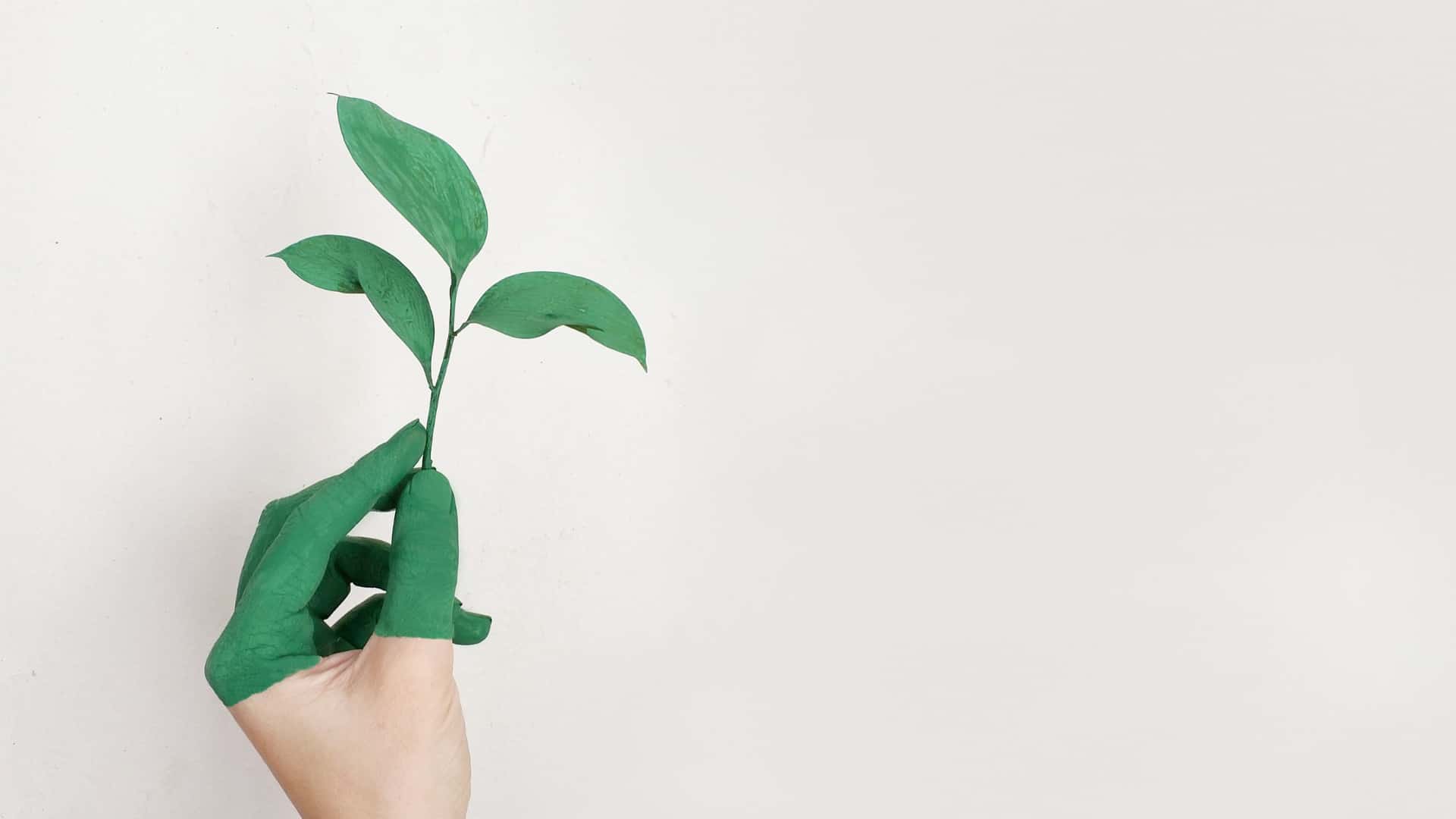 Reduce Reuse Recycle Wallpapers - Top Free Reduce Reuse Recycle ... Reduce Reuse Recycle Wallpapers - Top Free Reduce Reuse Recycle ...