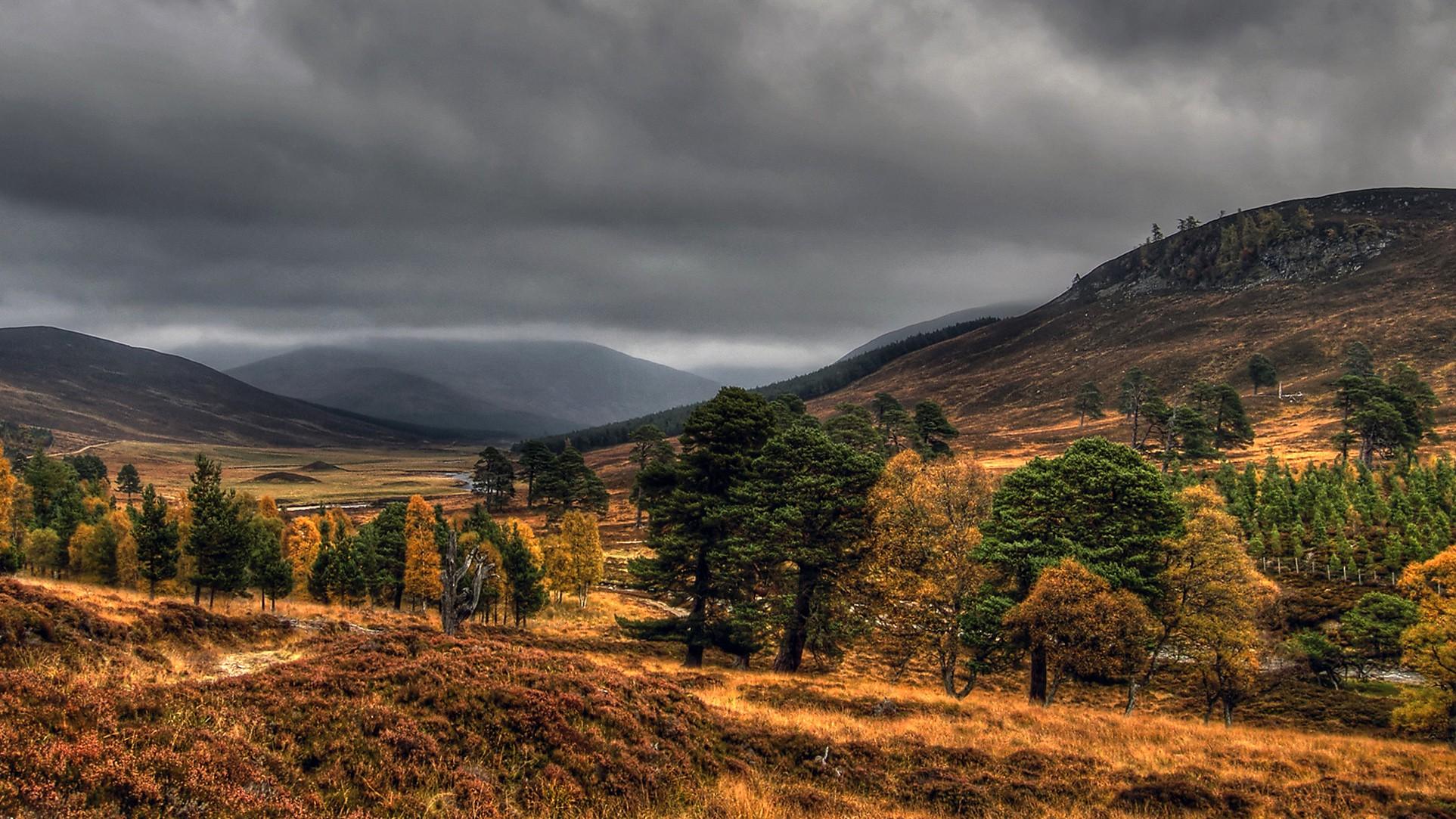 Gray Nature Wallpapers - Top Free Gray Nature Backgrounds - WallpaperAccess