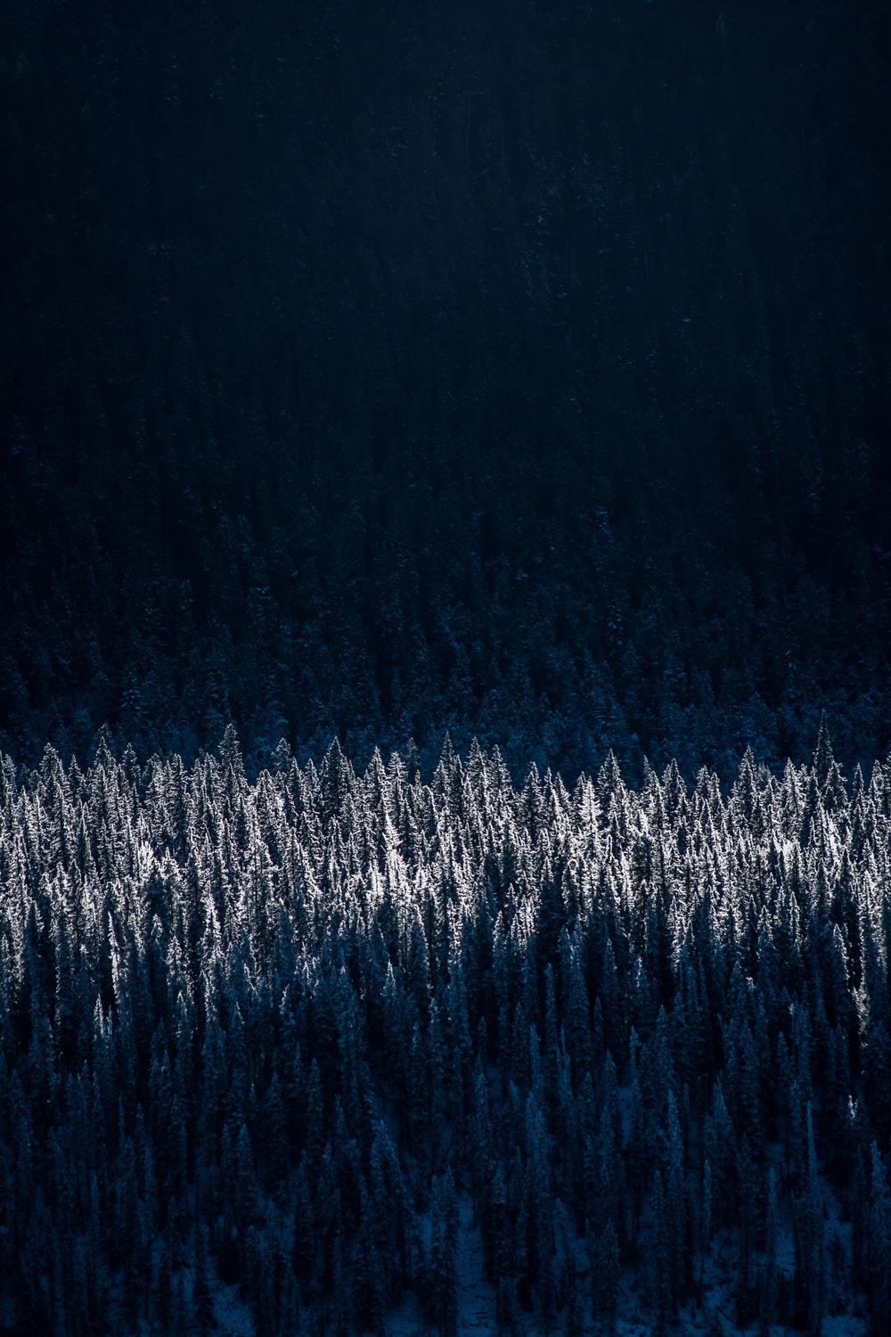 Dark Frost Wallpapers - Top Free Dark Frost Backgrounds - WallpaperAccess