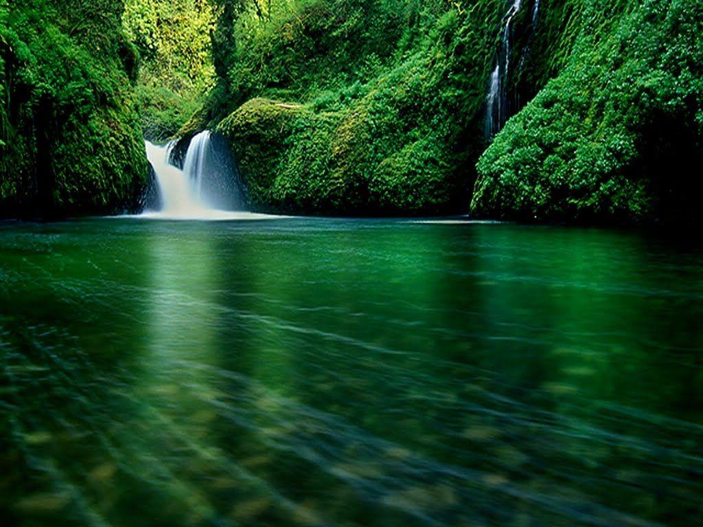 Peaceful Forest Wallpapers - Top Free Peaceful Forest Backgrounds ...