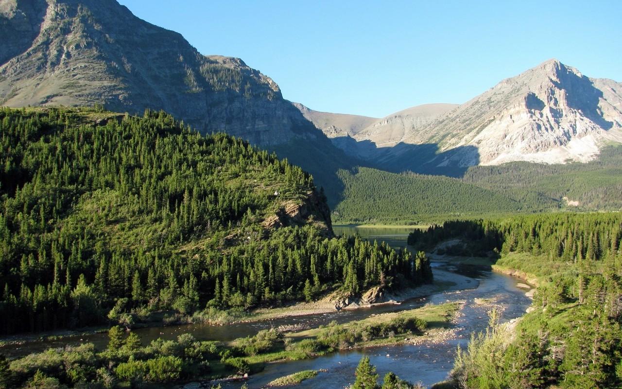 Peaceful Forest Wallpapers - Top Free Peaceful Forest Backgrounds ...