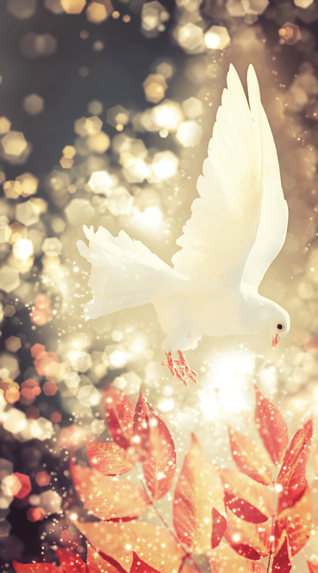 White Dove Wallpapers - Top Free White Dove Backgrounds - WallpaperAccess