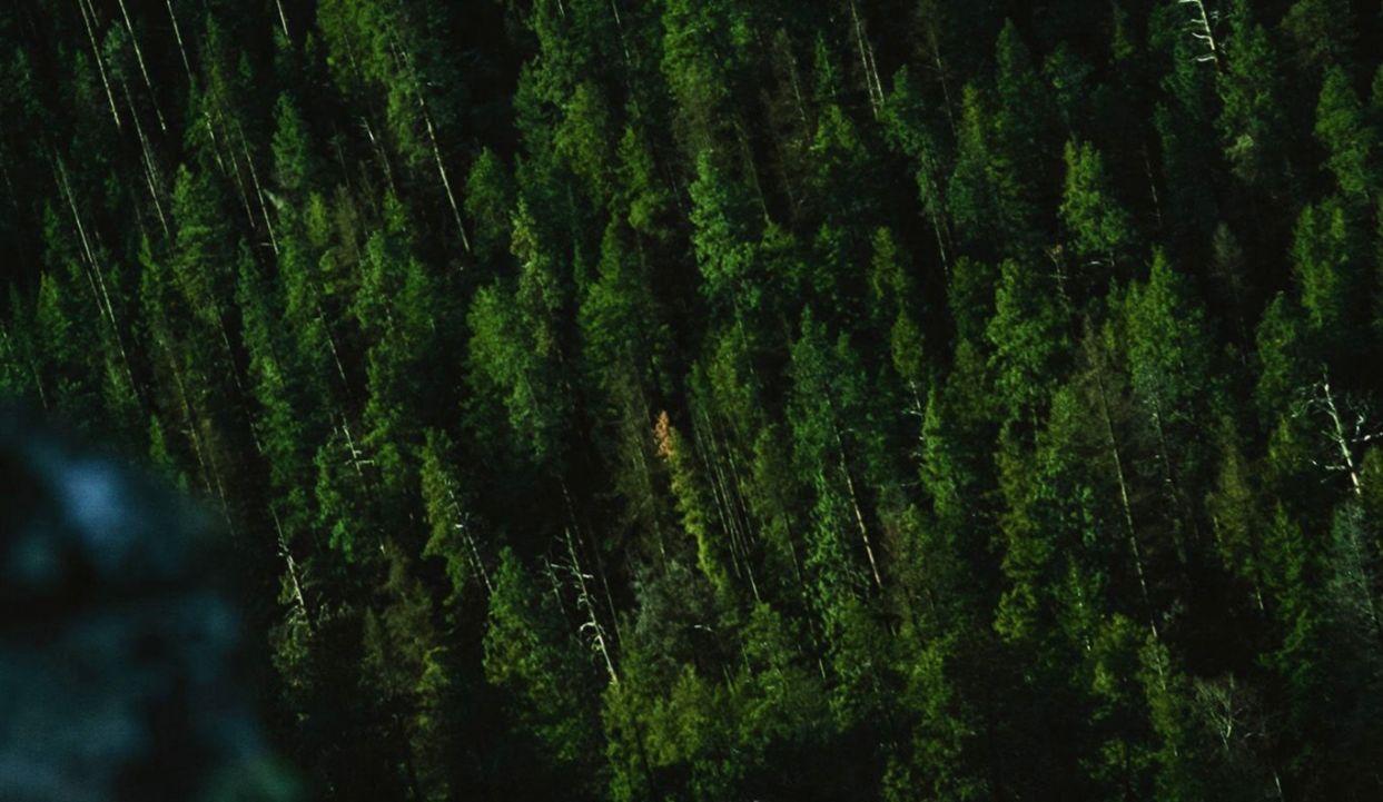 Green MacBook Wallpapers - Top Free Green MacBook Backgrounds ...