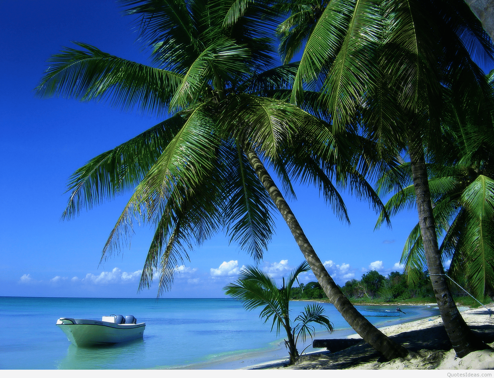 Summer Beach Paradise Wallpapers - Top Free Summer Beach Paradise ...