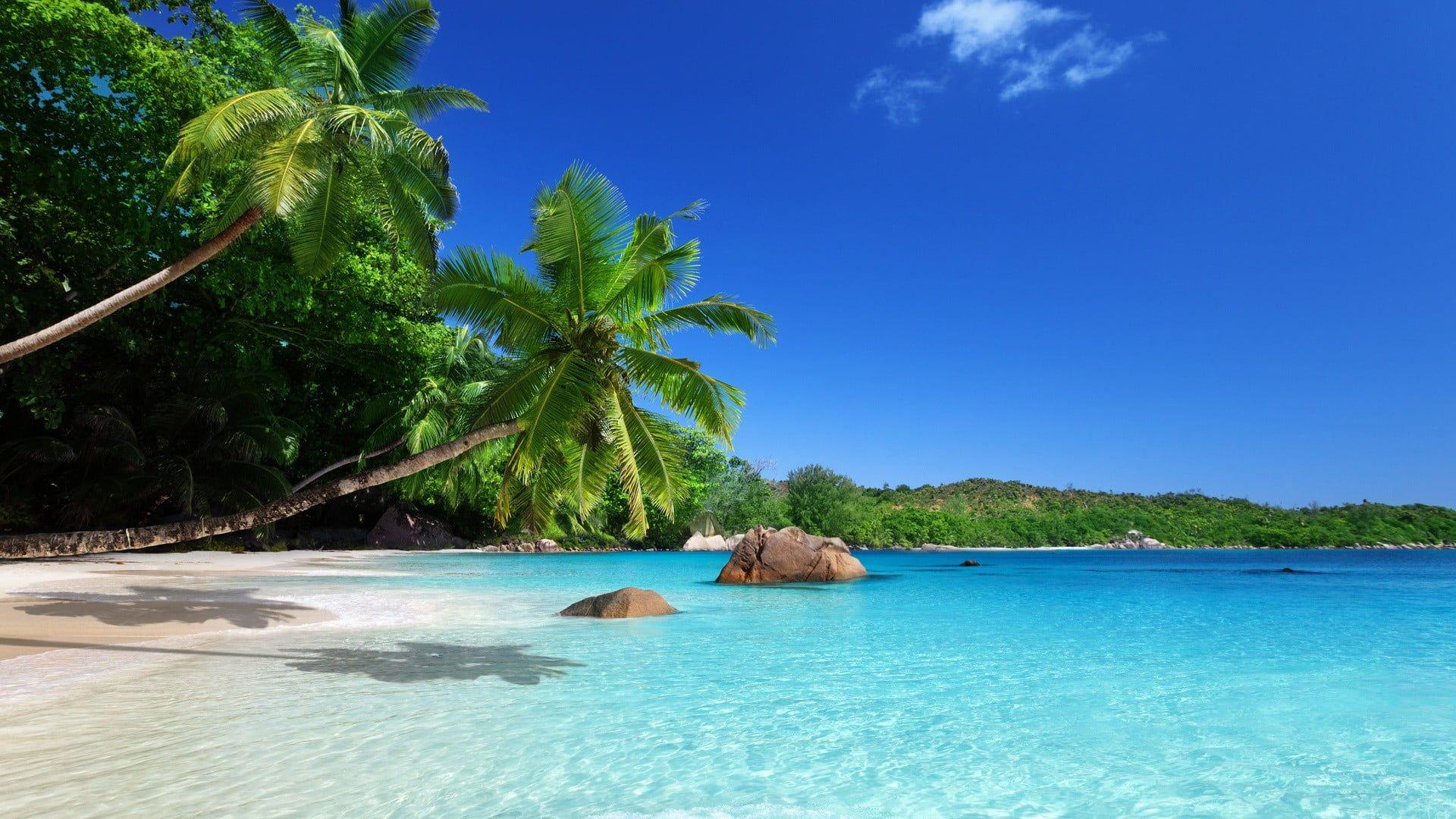 Summer Beach Paradise Wallpapers - Top Free Summer Beach Paradise ...