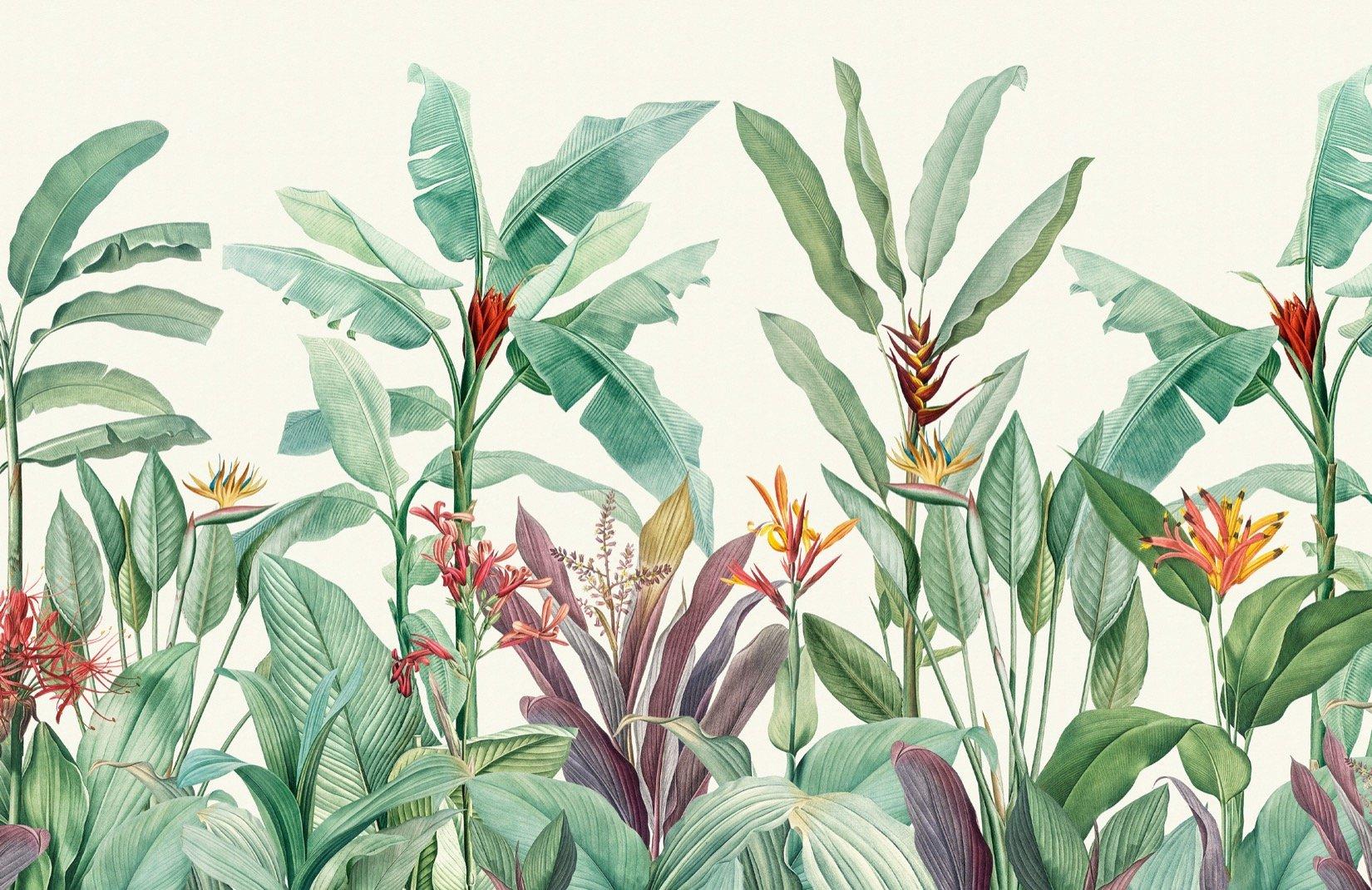 Retro Tropical Wallpapers - Top Free Retro Tropical Backgrounds ...