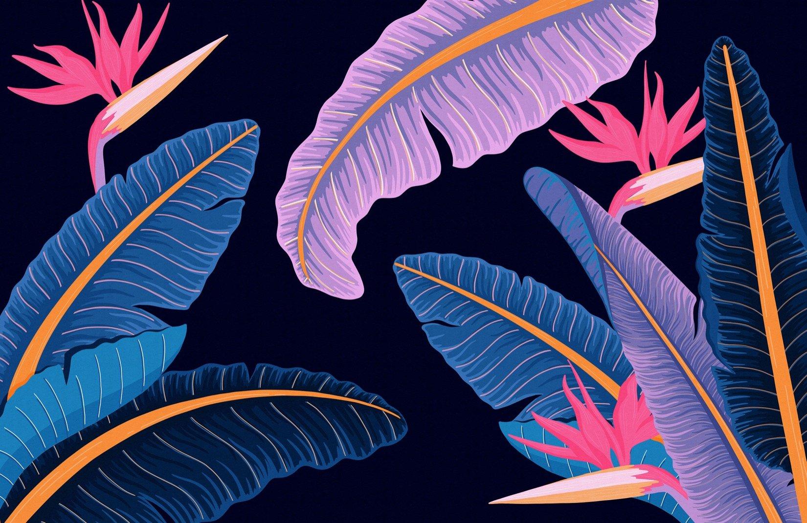 Black Tropical Wallpapers - Top Free Black Tropical Backgrounds ...