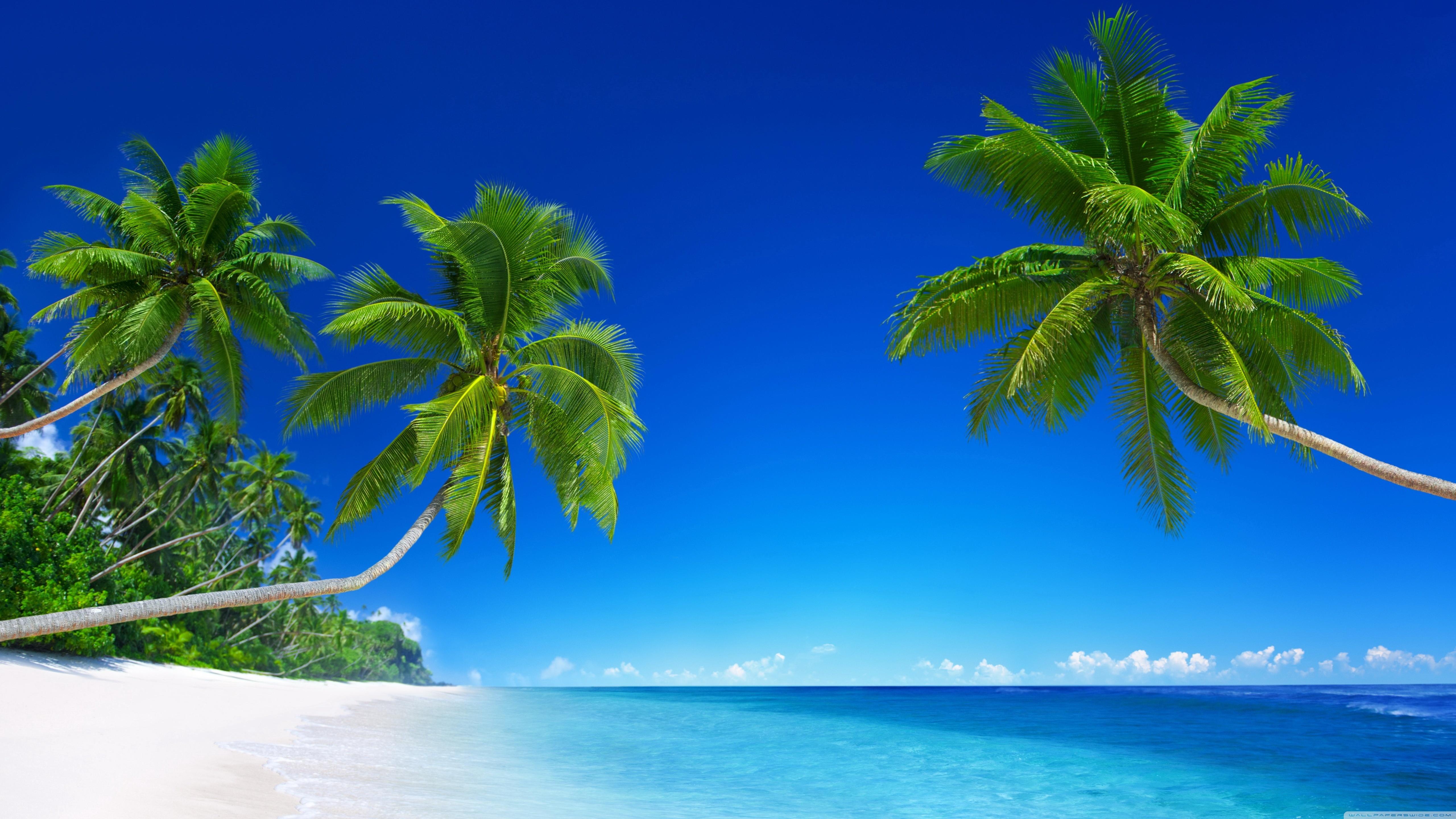 Summer Beach Paradise Wallpapers - Top Free Summer Beach Paradise ...
