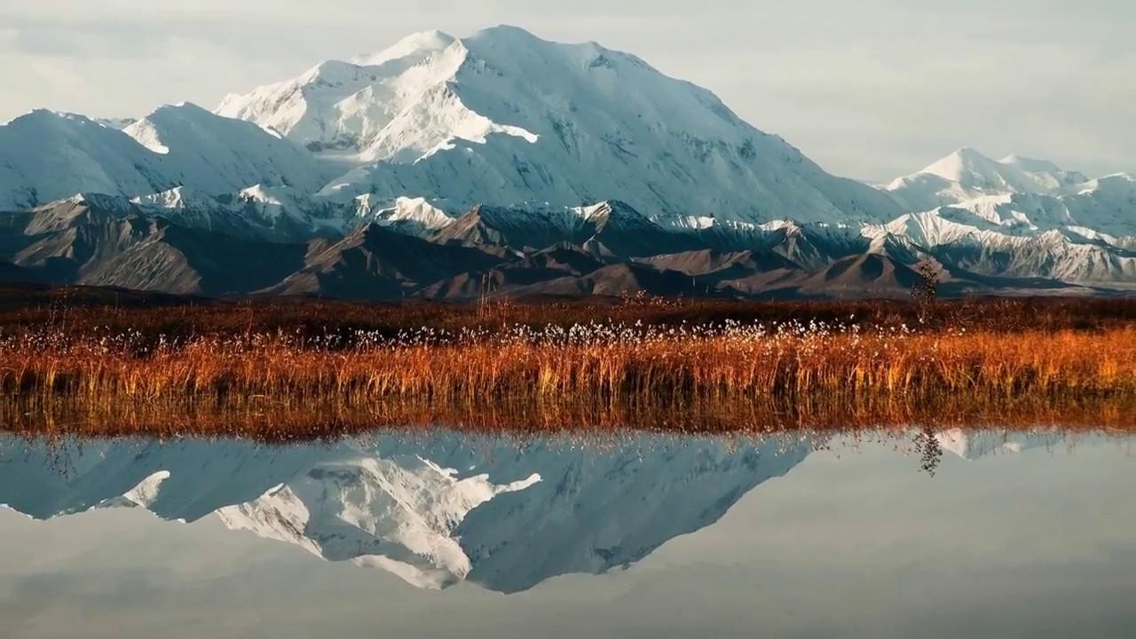 Denali Desktop Wallpapers - Top Free Denali Desktop Backgrounds ...