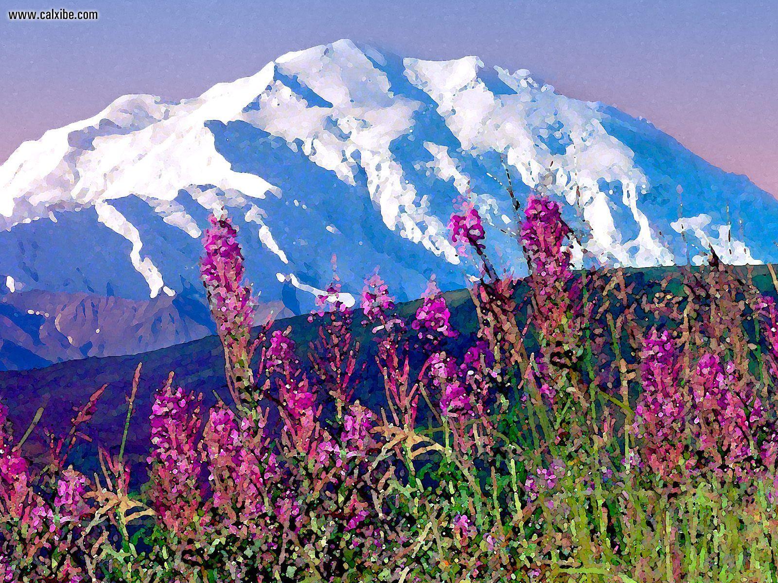 Denali Desktop Wallpapers - Top Free Denali Desktop Backgrounds ...