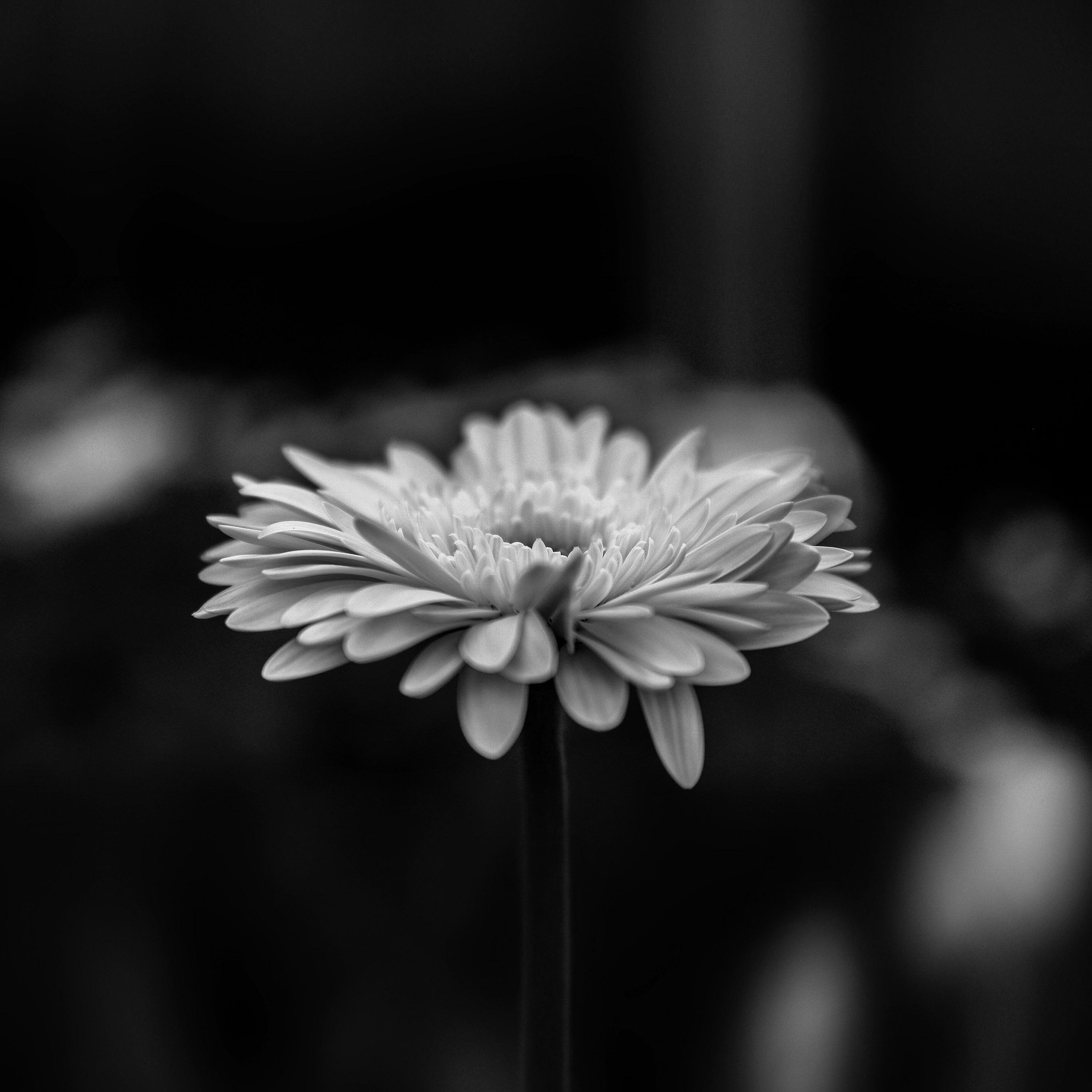 White Calm Wallpapers - Top Free White Calm Backgrounds - WallpaperAccess