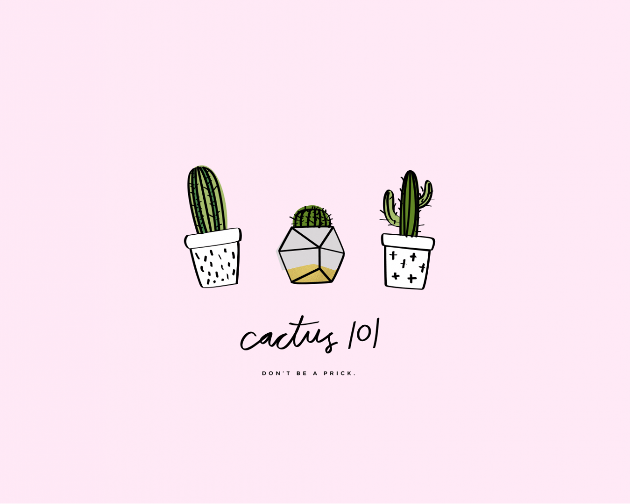 Small Cactus Wallpapers - Top Free Small Cactus Backgrounds ...