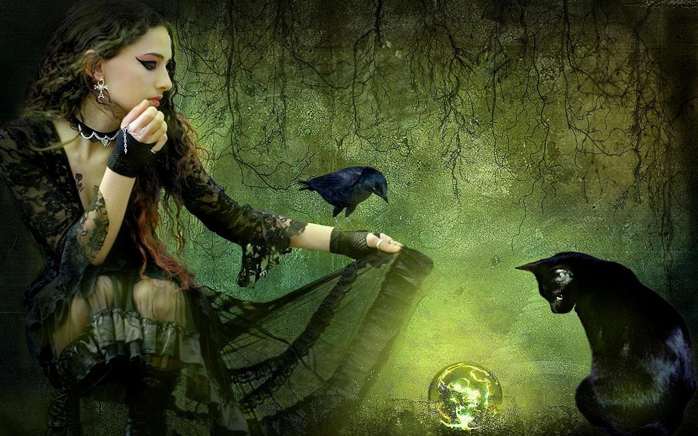 Beautiful Witch Cat Wallpapers - Top Free Beautiful Witch Cat ...