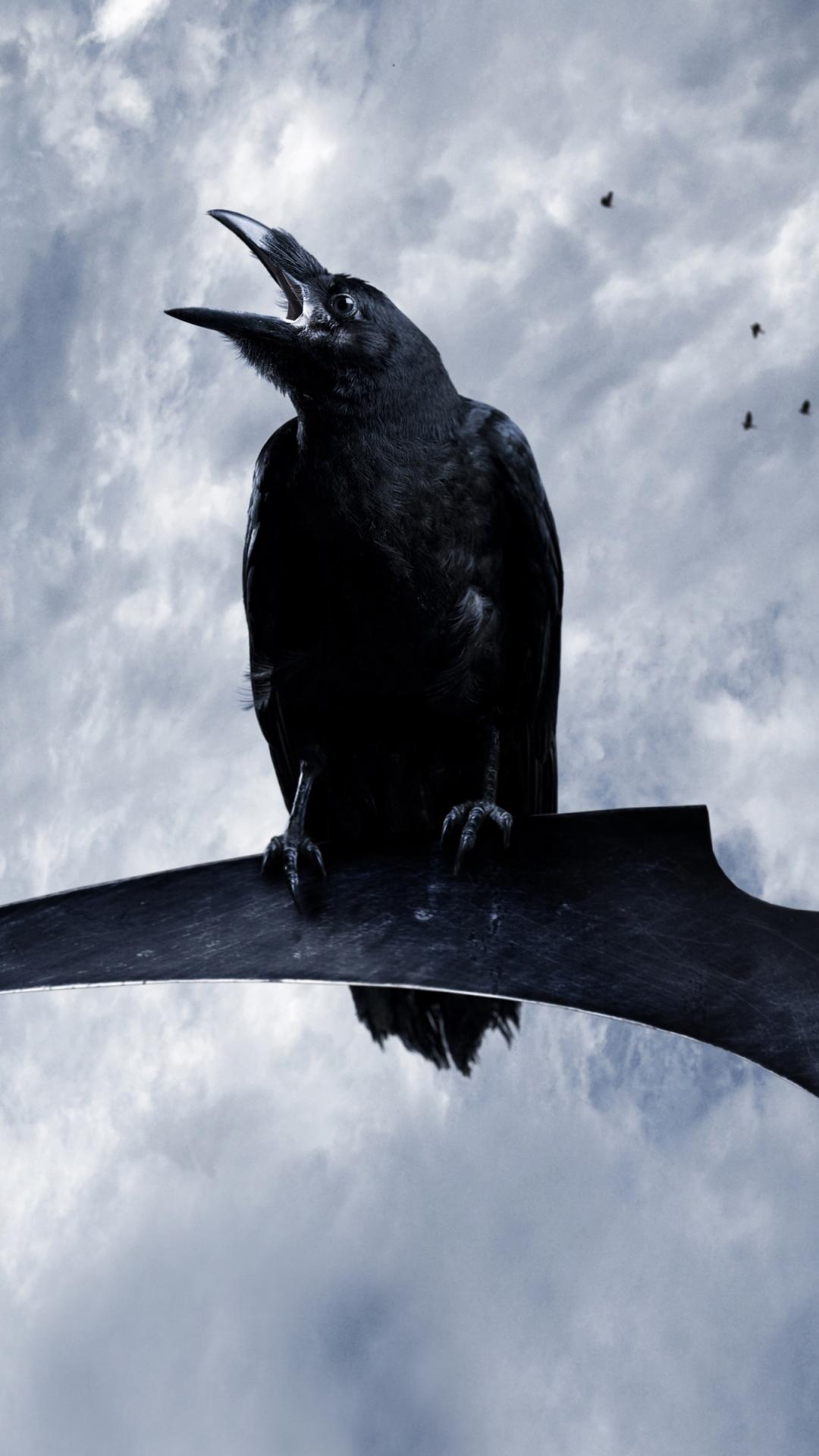 Gothic Bird Wallpapers - Top Free Gothic Bird Backgrounds - WallpaperAccess