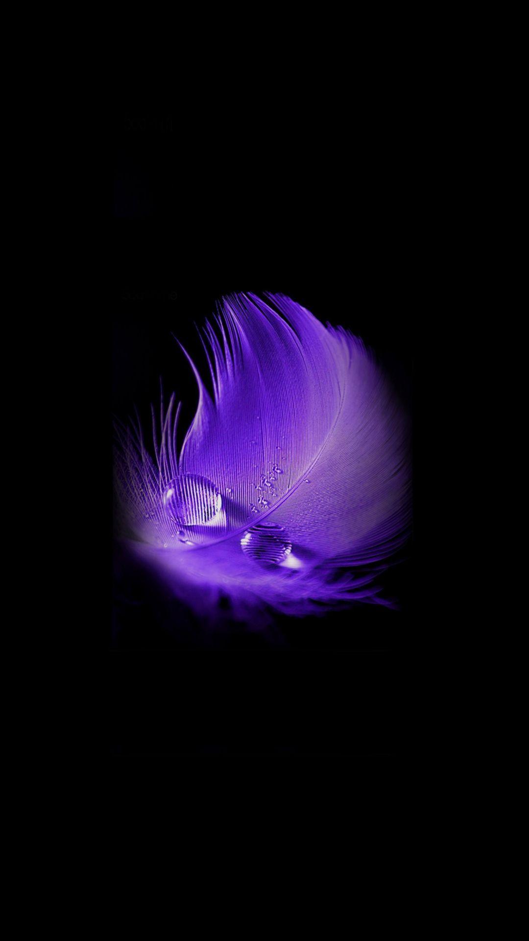 Purple Feather Wallpapers - Top Free Purple Feather Backgrounds ...