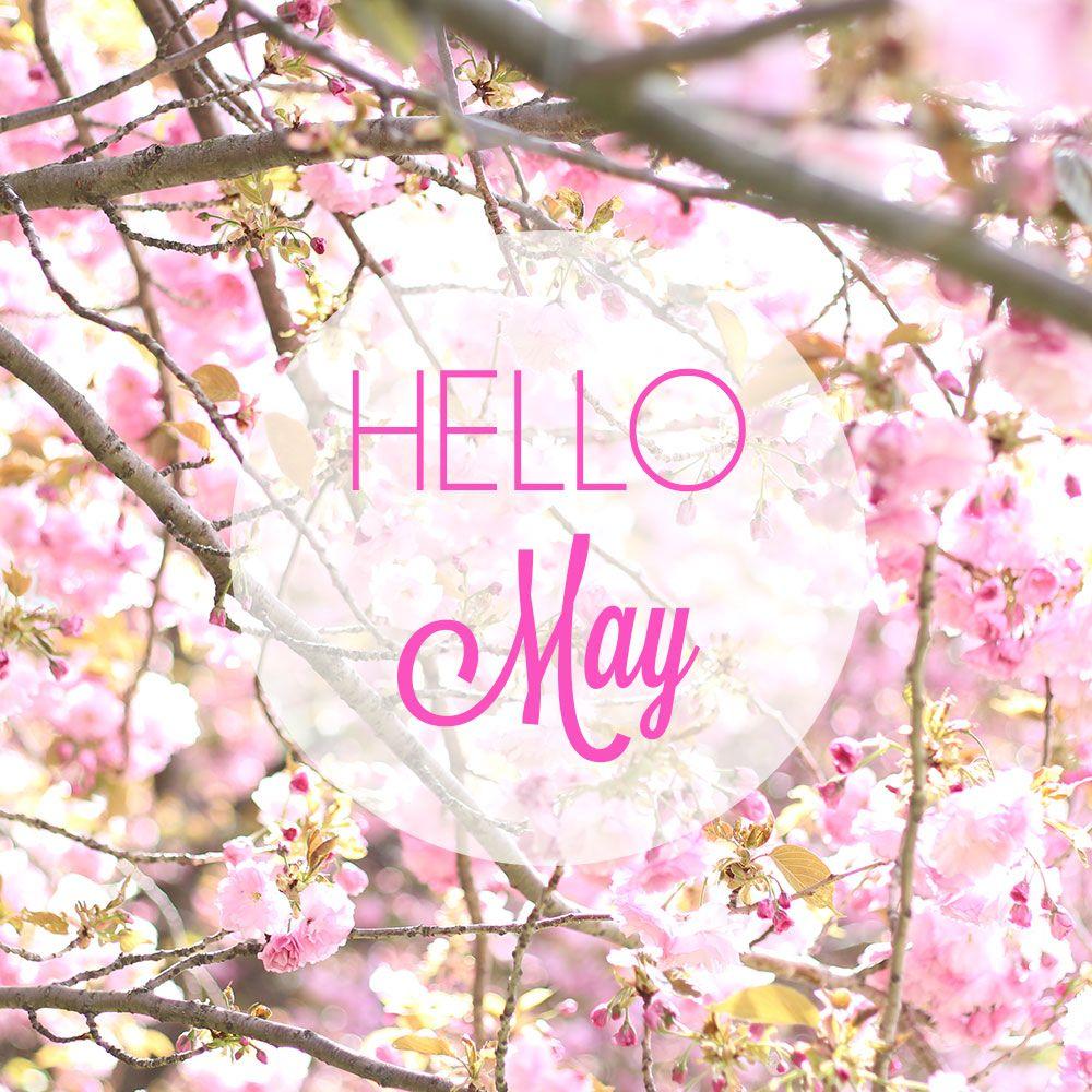 Hello May Wallpapers - Top Free Hello May Backgrounds - WallpaperAccess