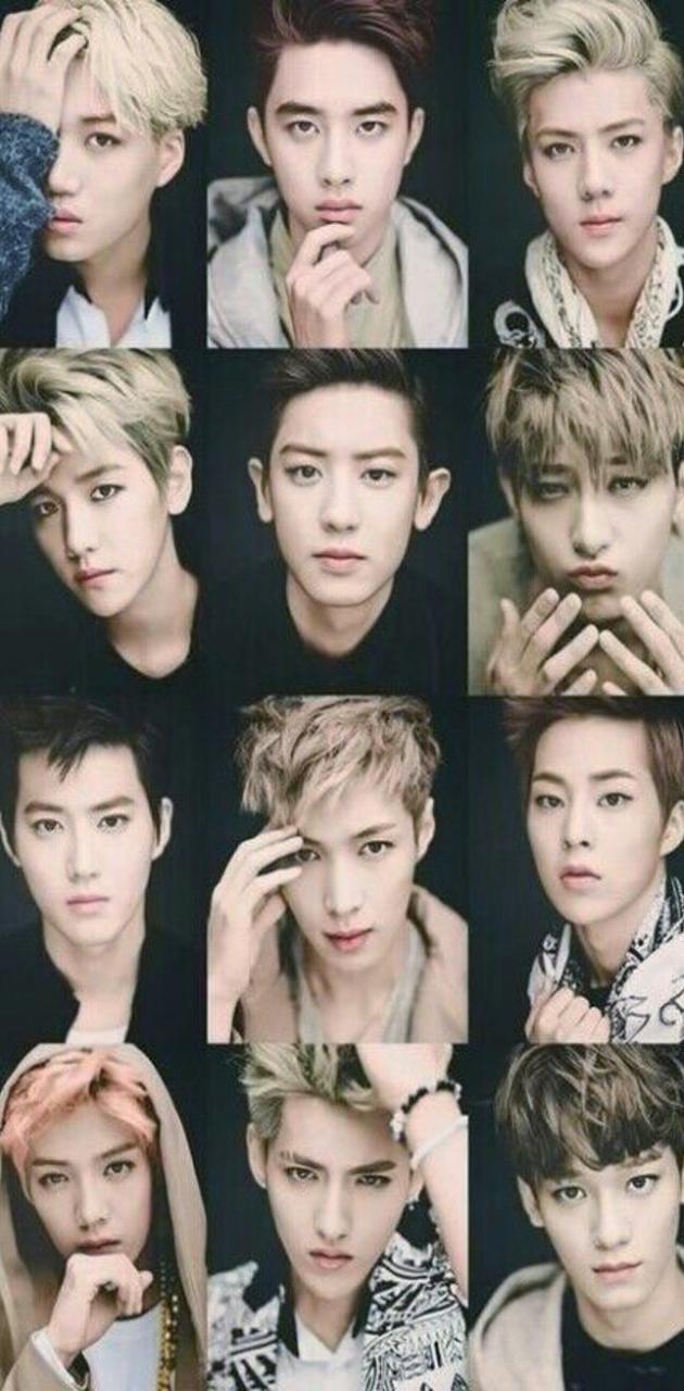 EXO Ot12 Wallpapers - Top Free EXO Ot12 Backgrounds - WallpaperAccess