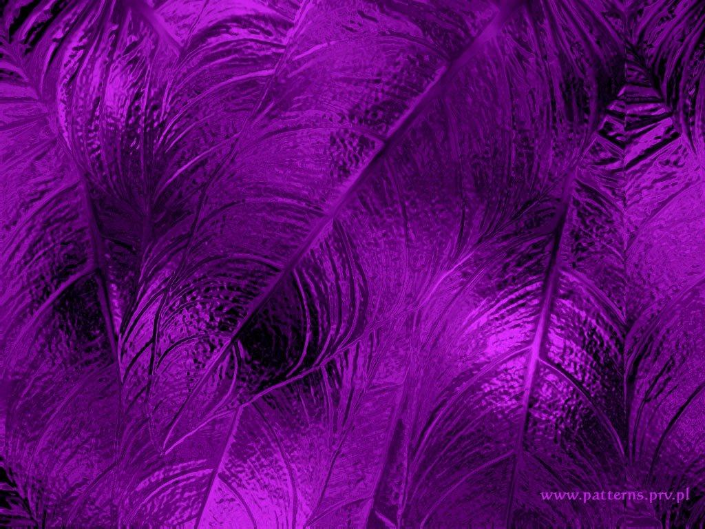 Purple Feather Wallpapers - Top Free Purple Feather Backgrounds ...