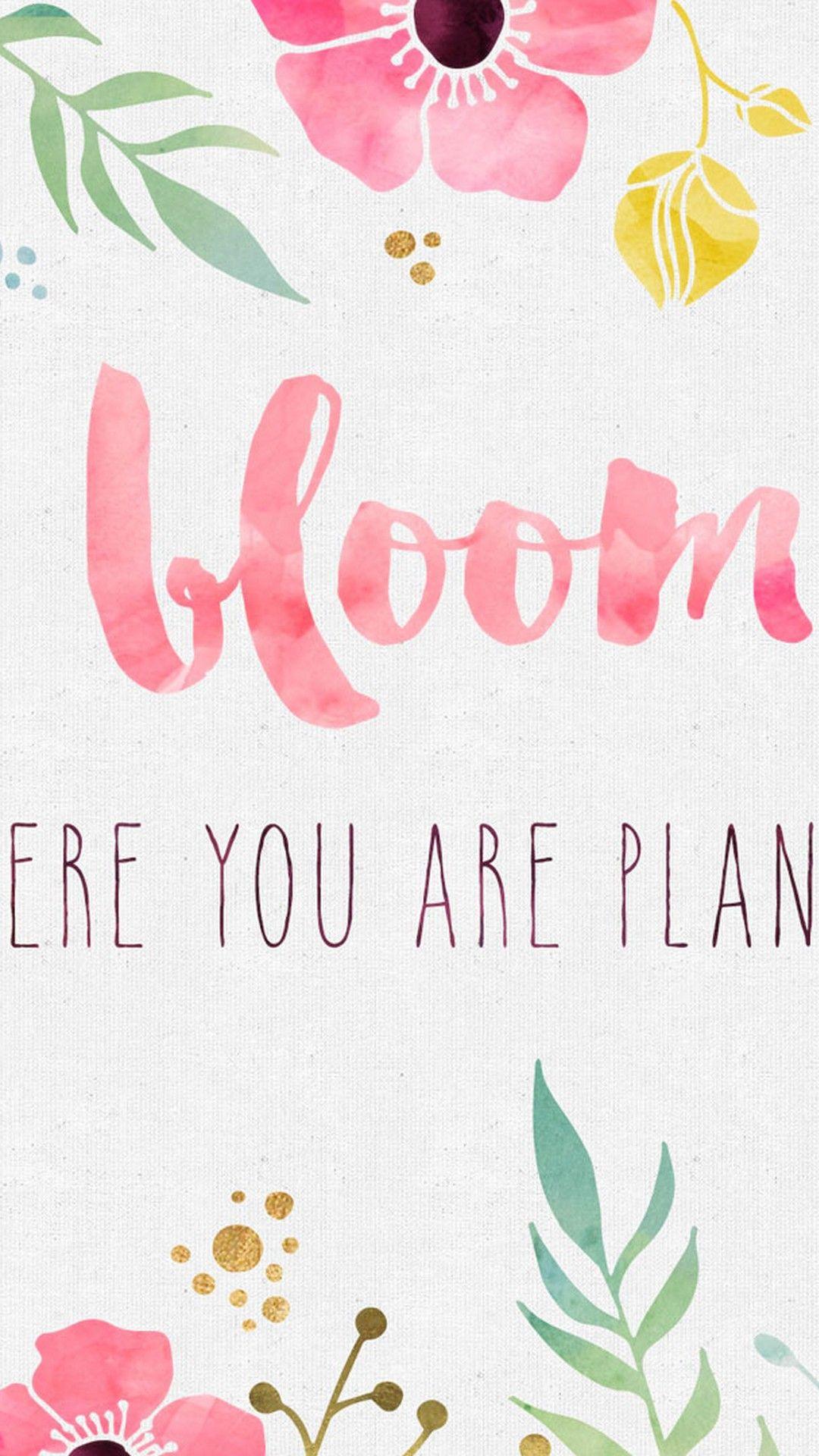 Hello May Wallpapers - Top Free Hello May Backgrounds - WallpaperAccess