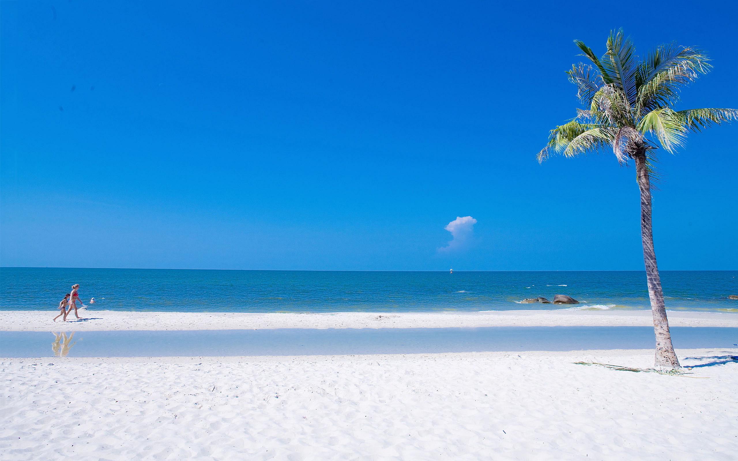 Summer Ocean Wallpapers - Top Free Summer Ocean Backgrounds ...