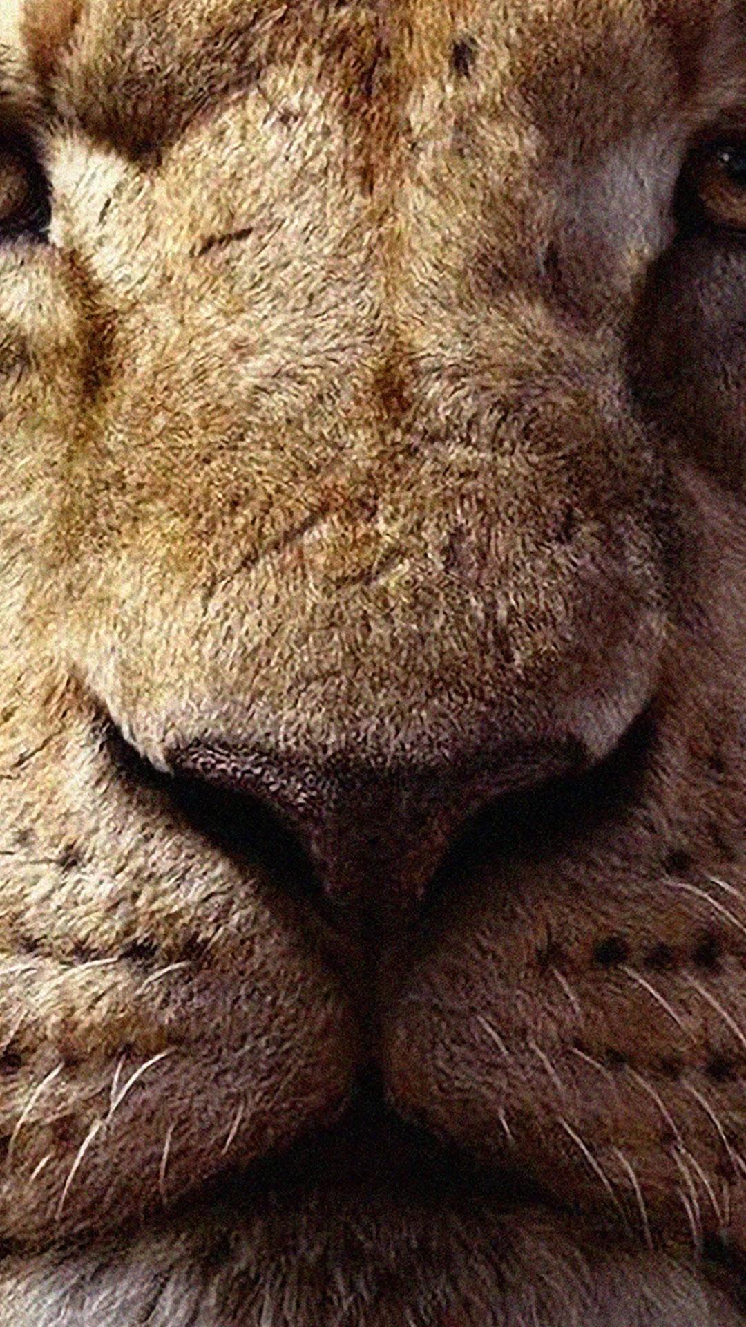 Mufasa Lion King Wallpapers - Top Free Mufasa Lion King Backgrounds ...