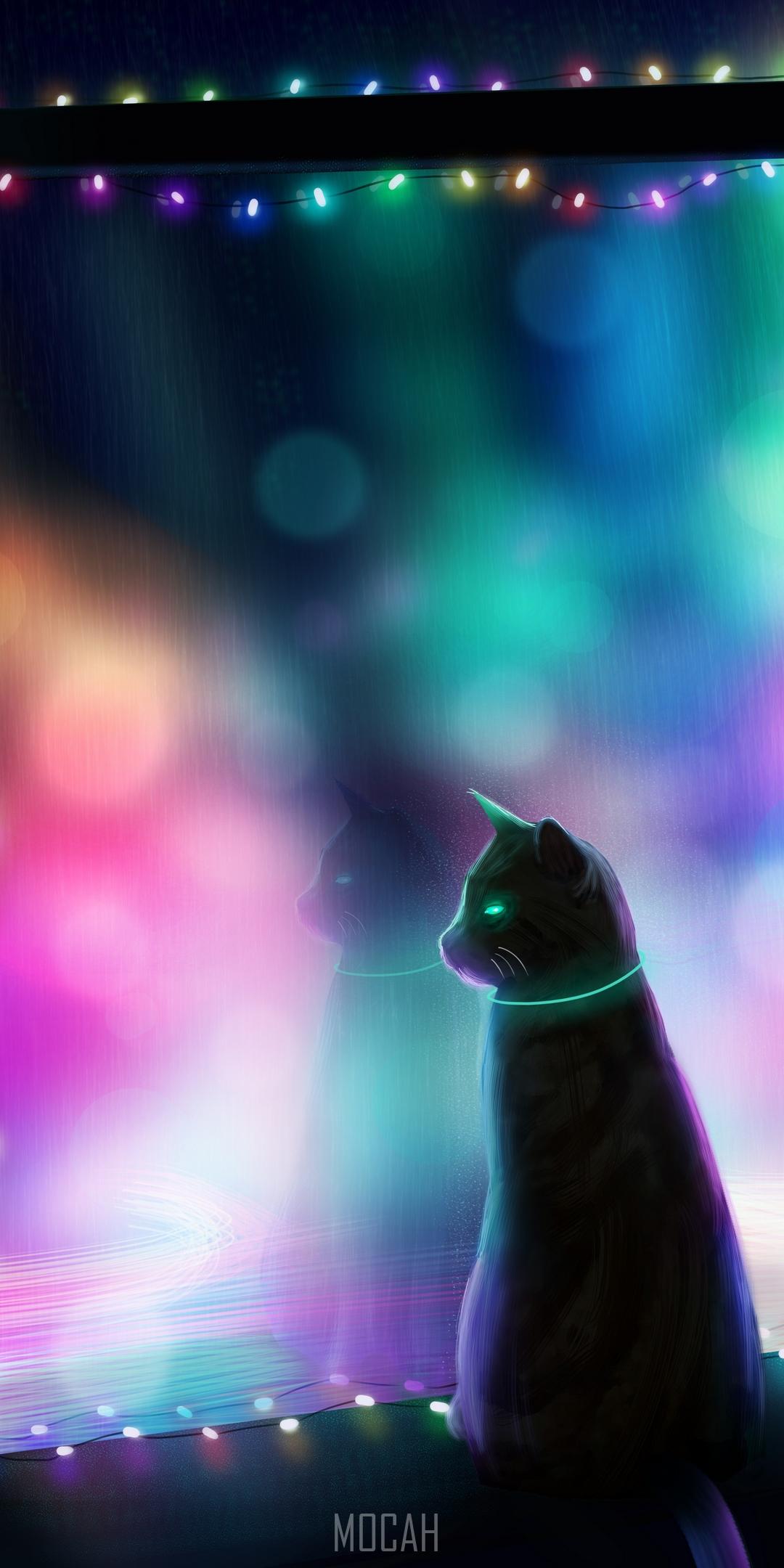 MI A2 Wallpapers - Top Free MI A2 Backgrounds - WallpaperAccess